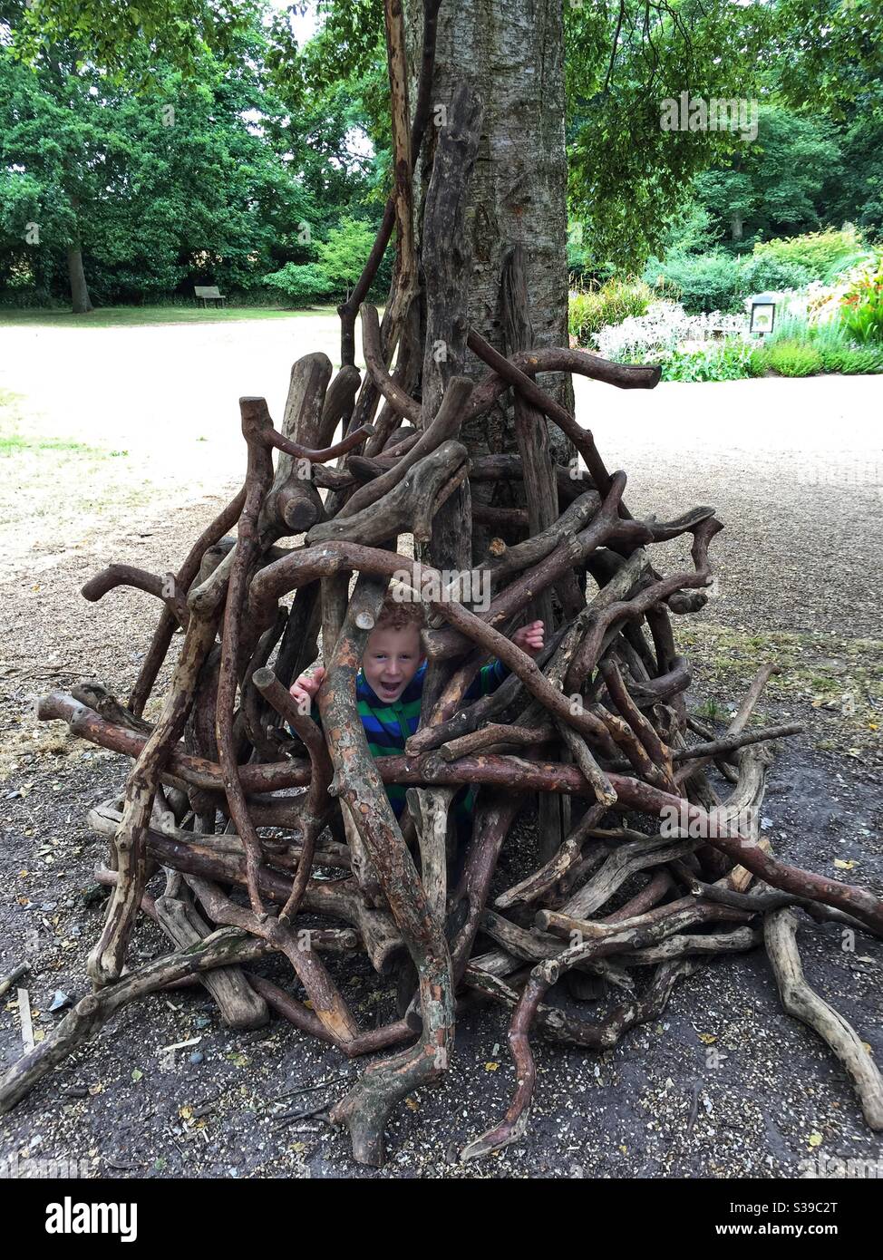 Den building forest hi-res stock photography and images - Alamy