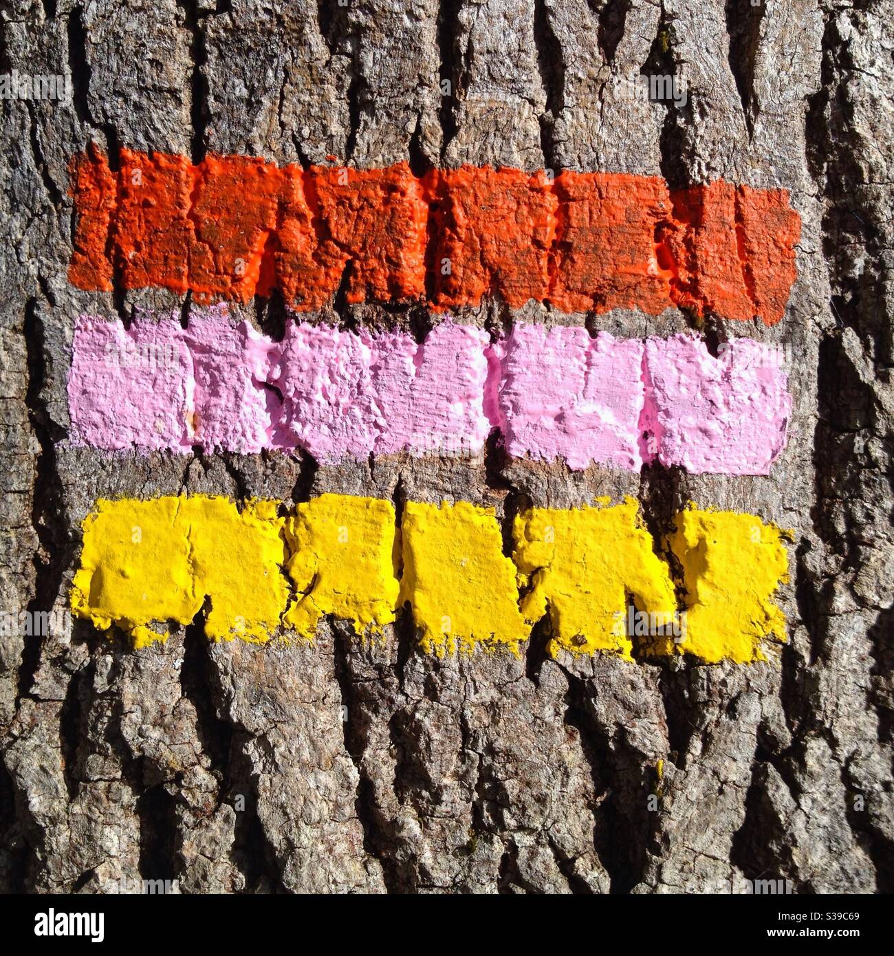 Tracing on a hiking trail Stock Photo - Alamy