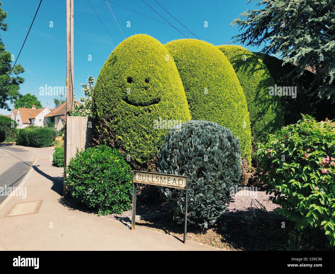 Smiling bush hi-res stock photography and images - Alamy