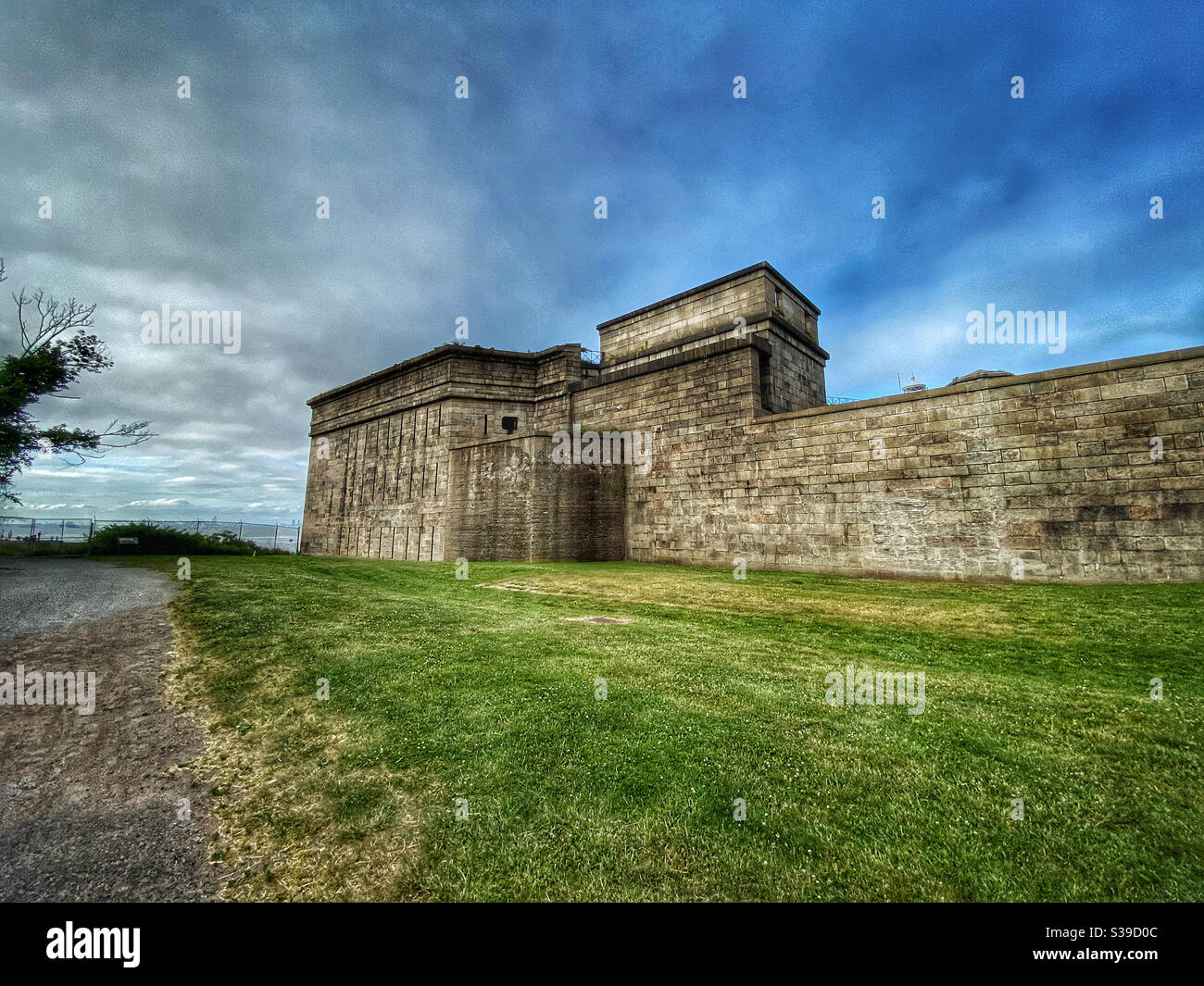 Battery weed hi-res stock photography and images - Alamy