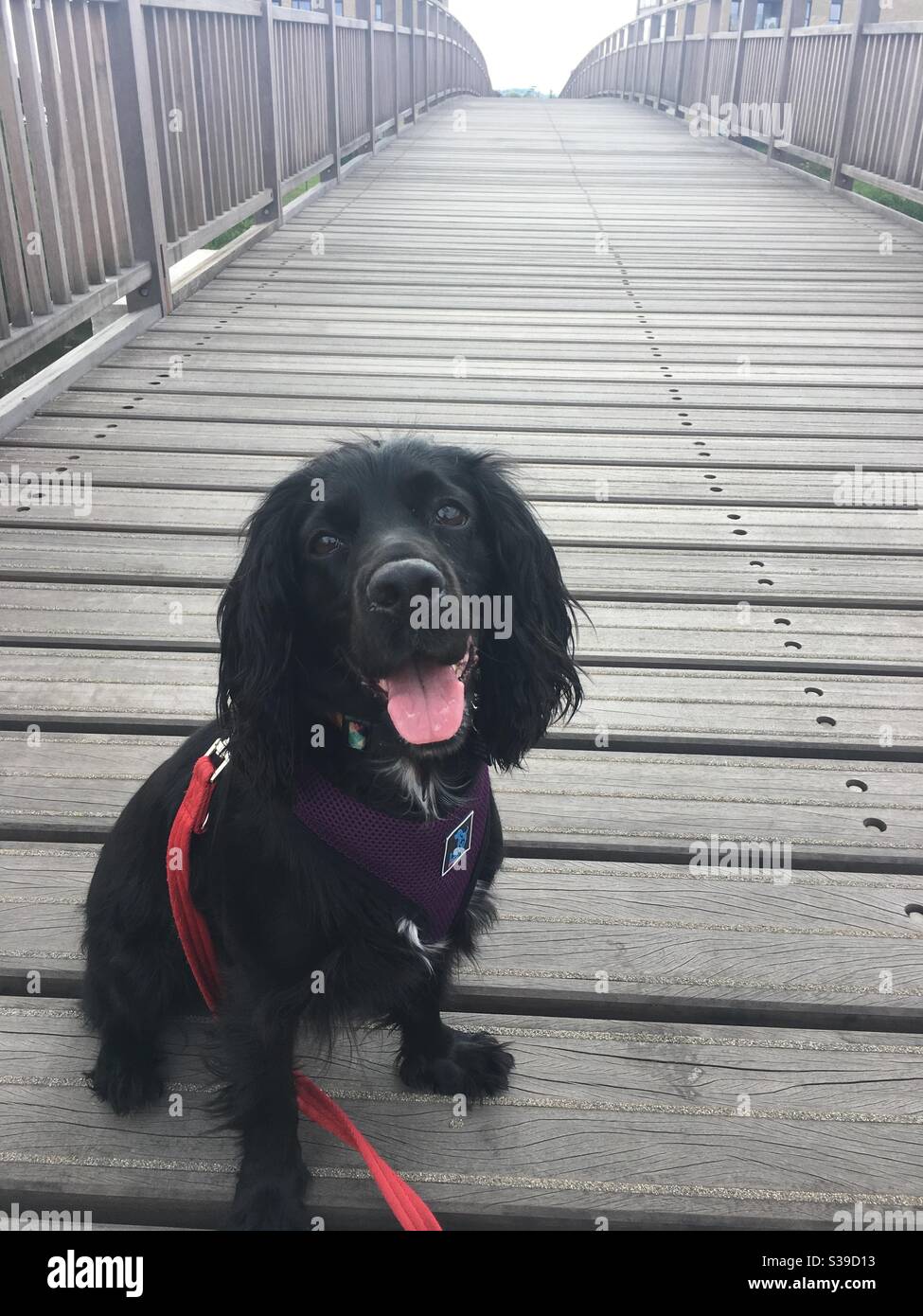 Cocker bridge hi-res stock photography and images - Alamy