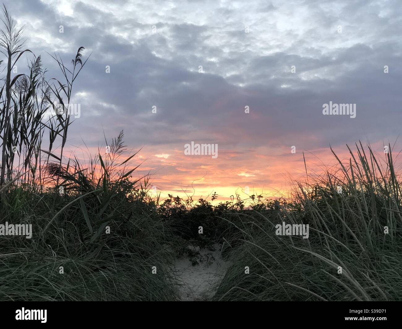 Ditch plains beach hi-res stock photography and images - Alamy