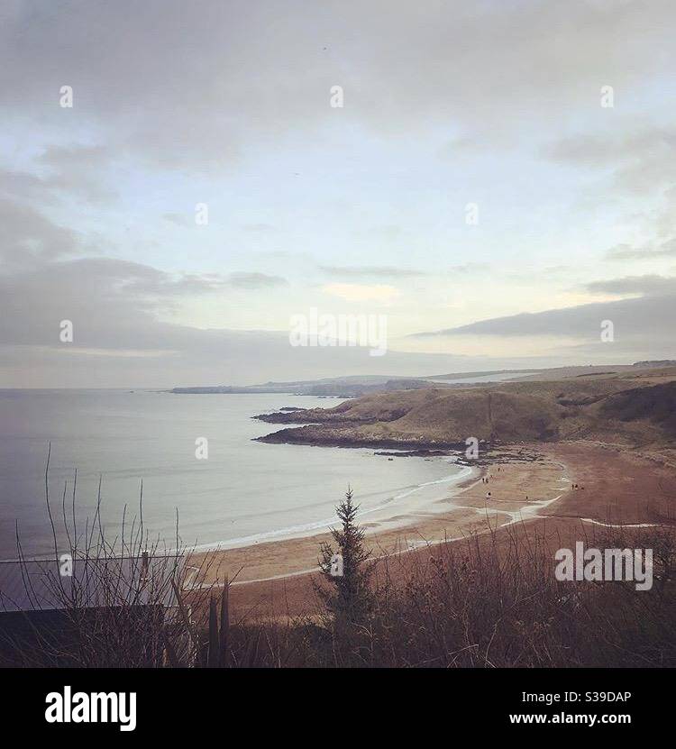 Coldingham scotland hi-res stock photography and images - Alamy