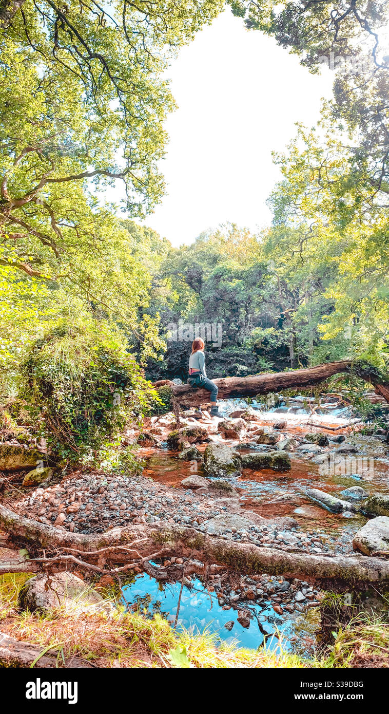 Mindfulness in nature hi-res stock photography and images - Alamy