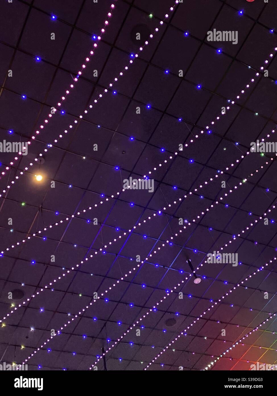 Strands of lights hi-res stock photography and images - Alamy