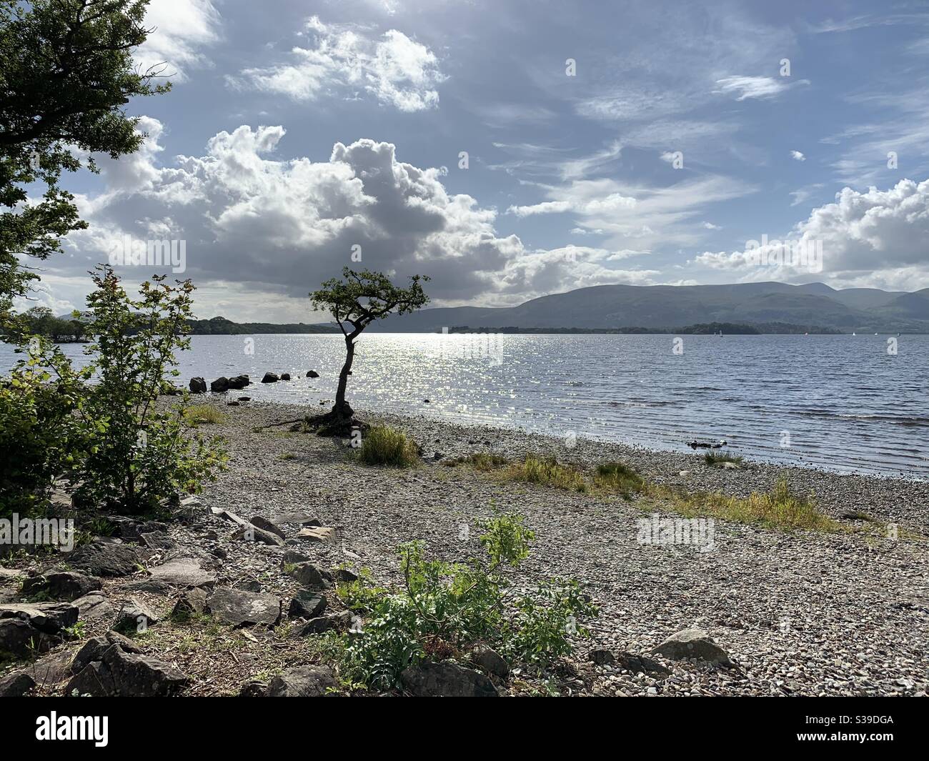 Loch lomond in summer hi-res stock photography and images - Alamy
