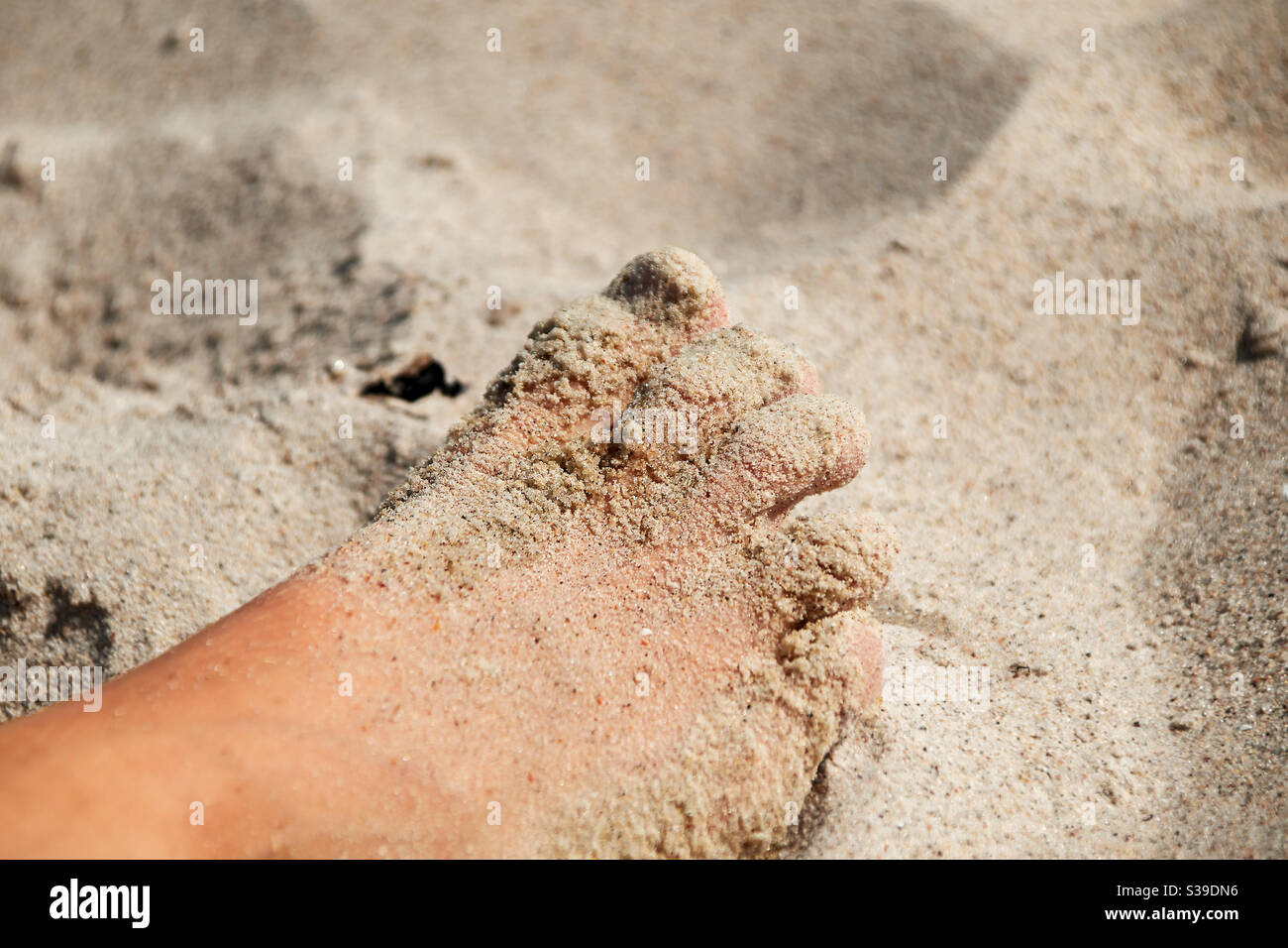 Foot of a child in the fine sand at the Baltic Sea beach. One sees the ...