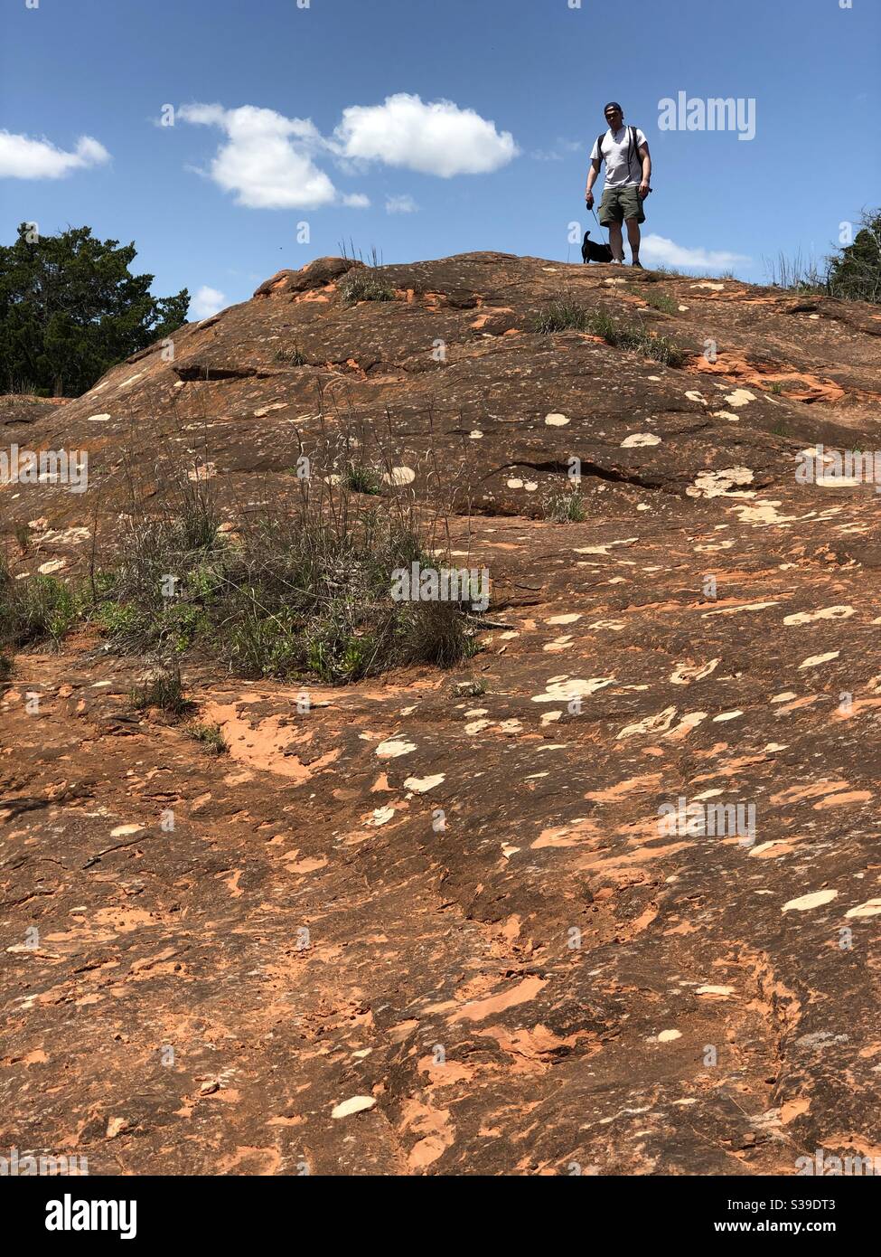 The top dog hi-res stock photography and images - Alamy