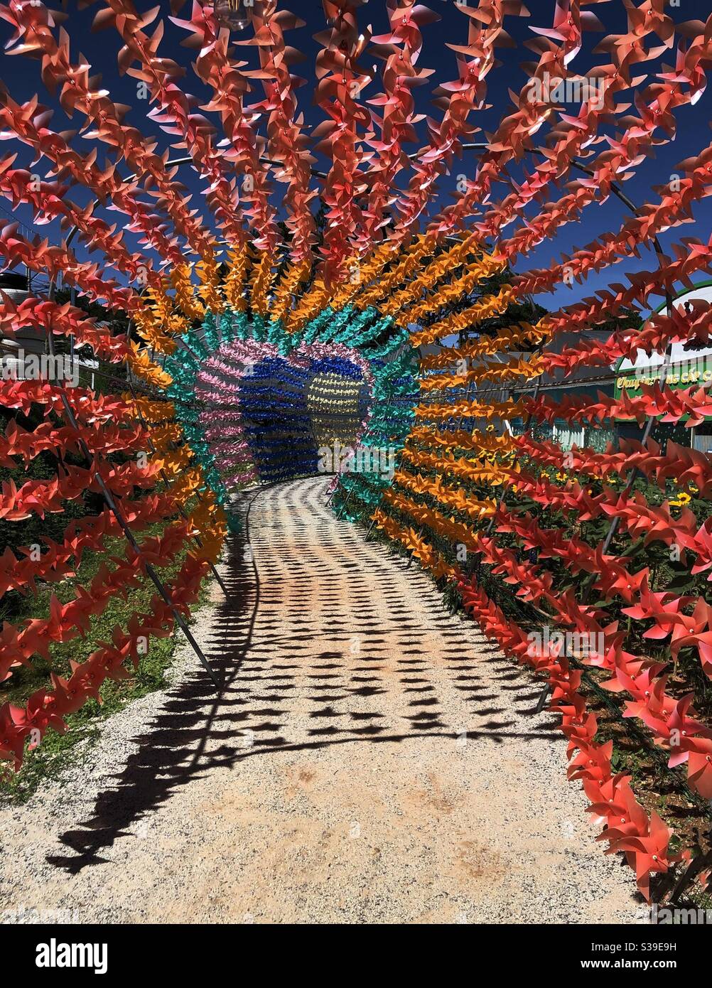 Mau sac hi-res stock photography and images - Alamy