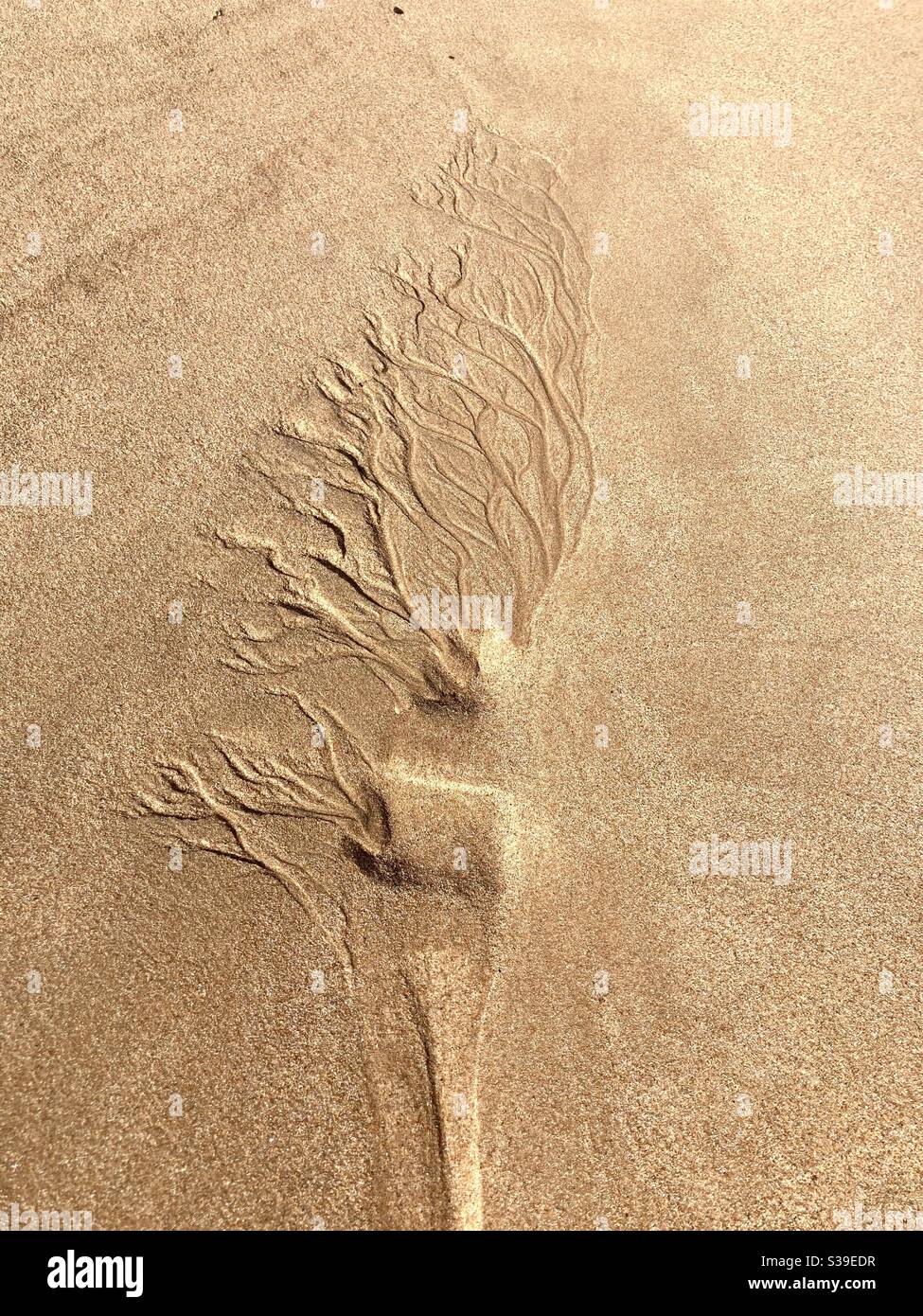 Art sand hi-res stock photography and images - Alamy