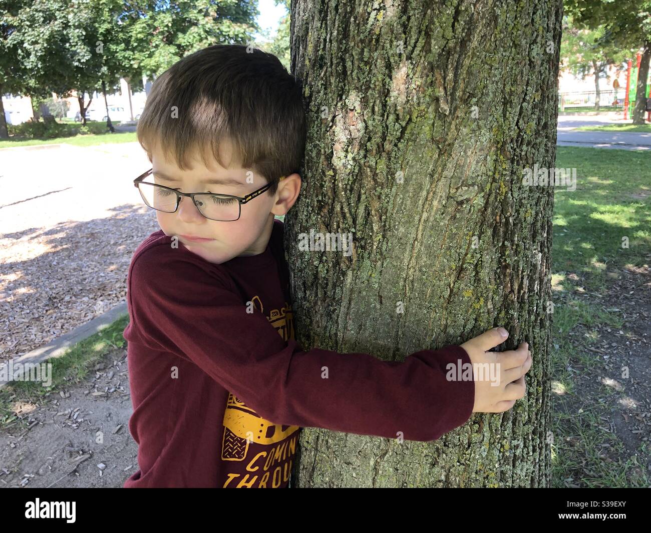 Child hug tree hi-res stock photography and images - Alamy
