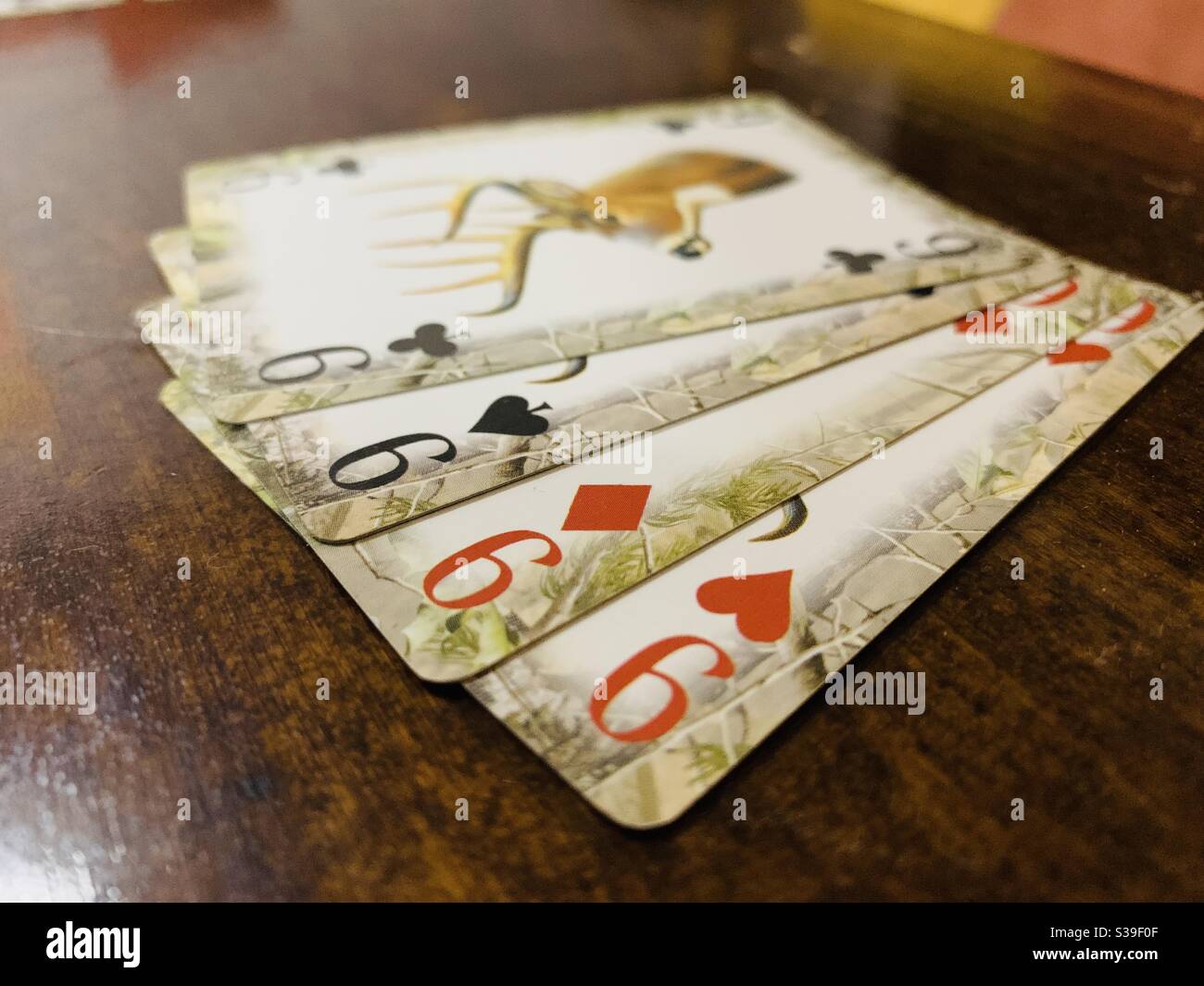Nine cards hi-res stock photography and images - Alamy