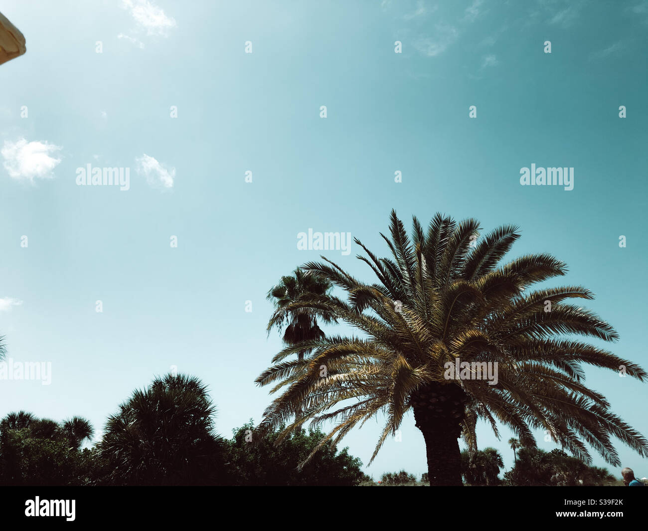 Florida scenery hi-res stock photography and images - Alamy