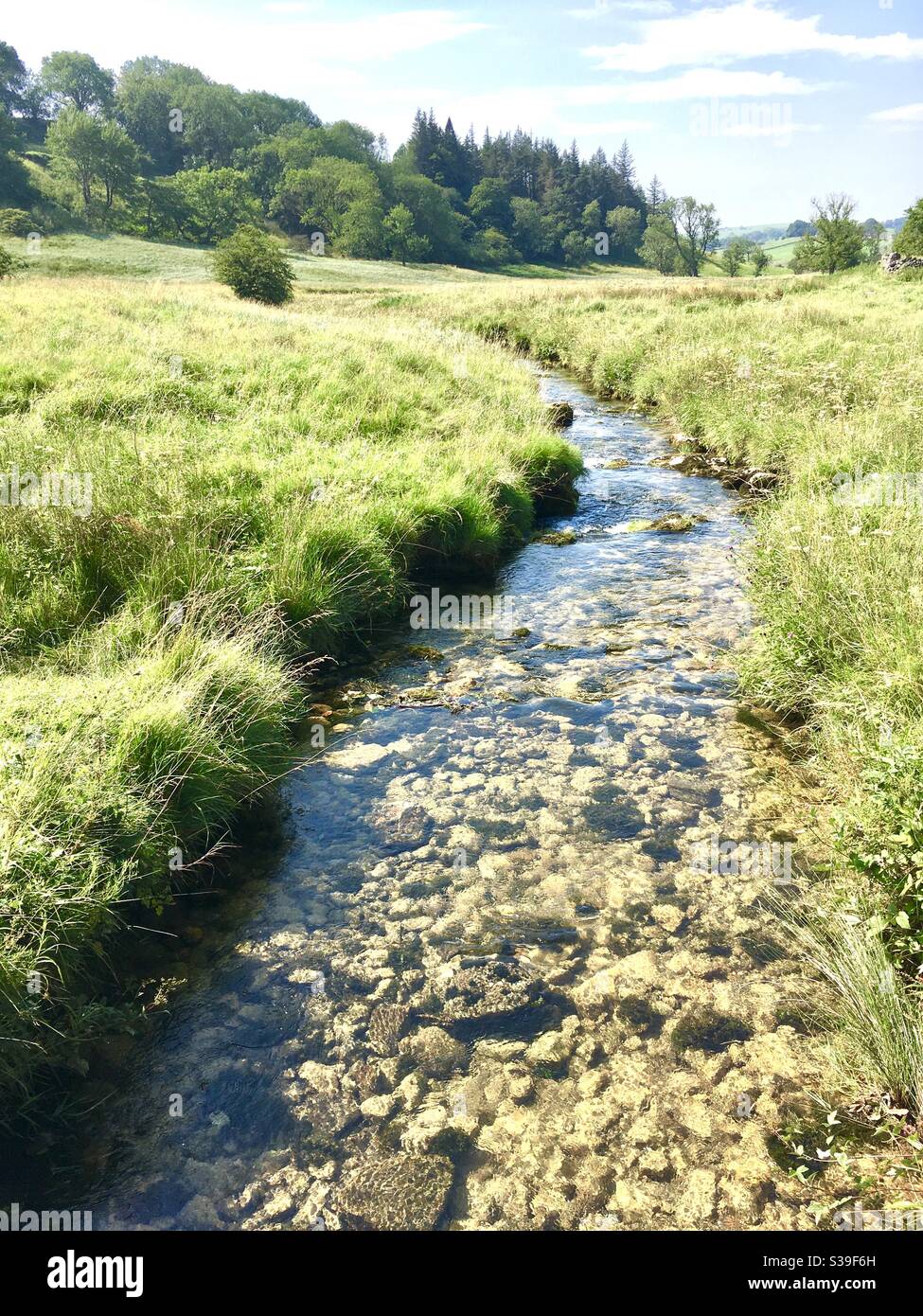 Clear stream running through field Stock Photo - Alamy