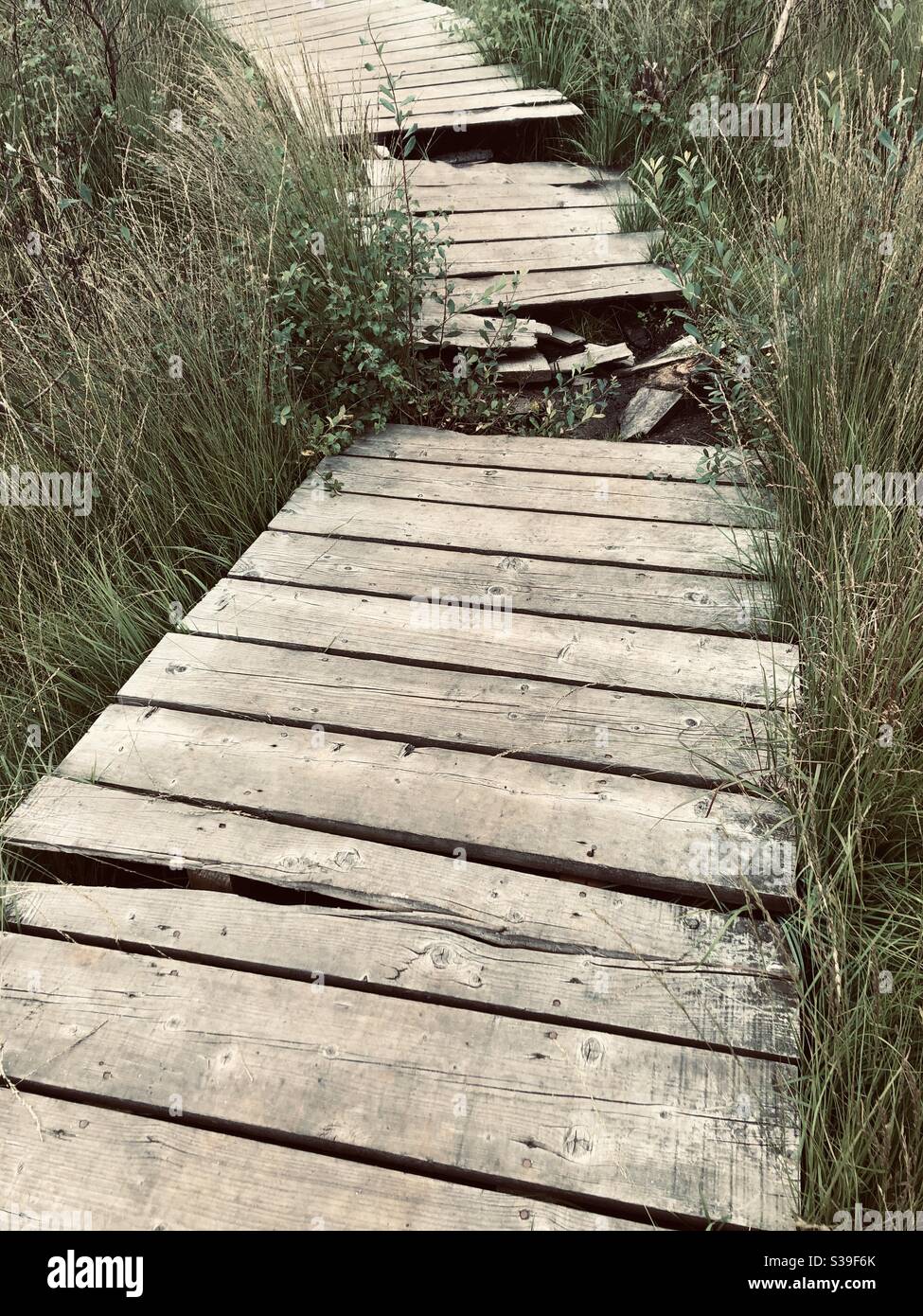 Pathway blocked hi-res stock photography and images - Alamy