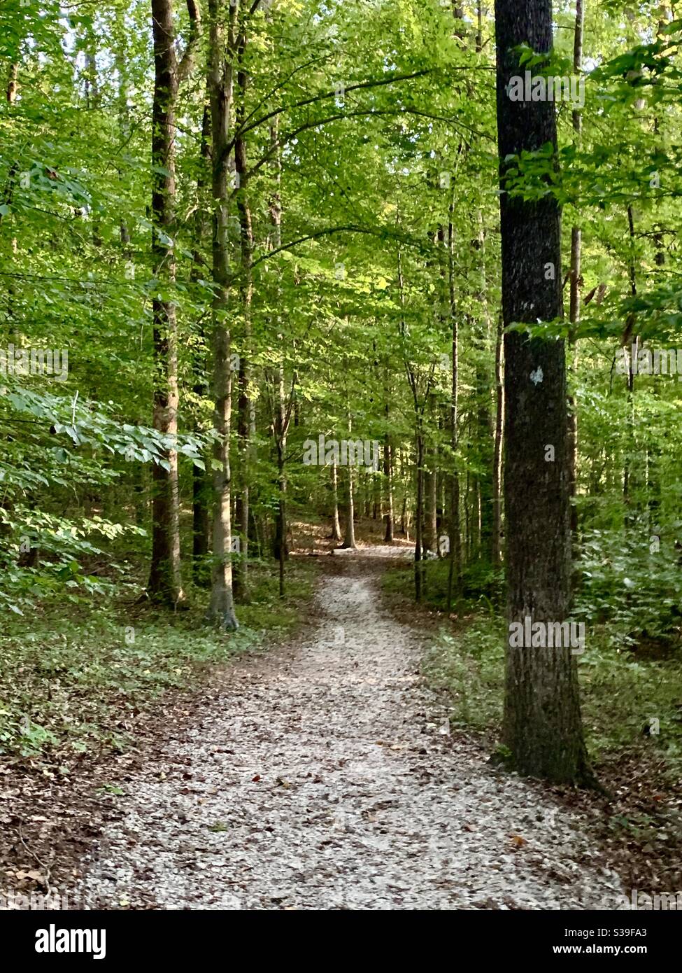 Trail gardens hi-res stock photography and images - Alamy