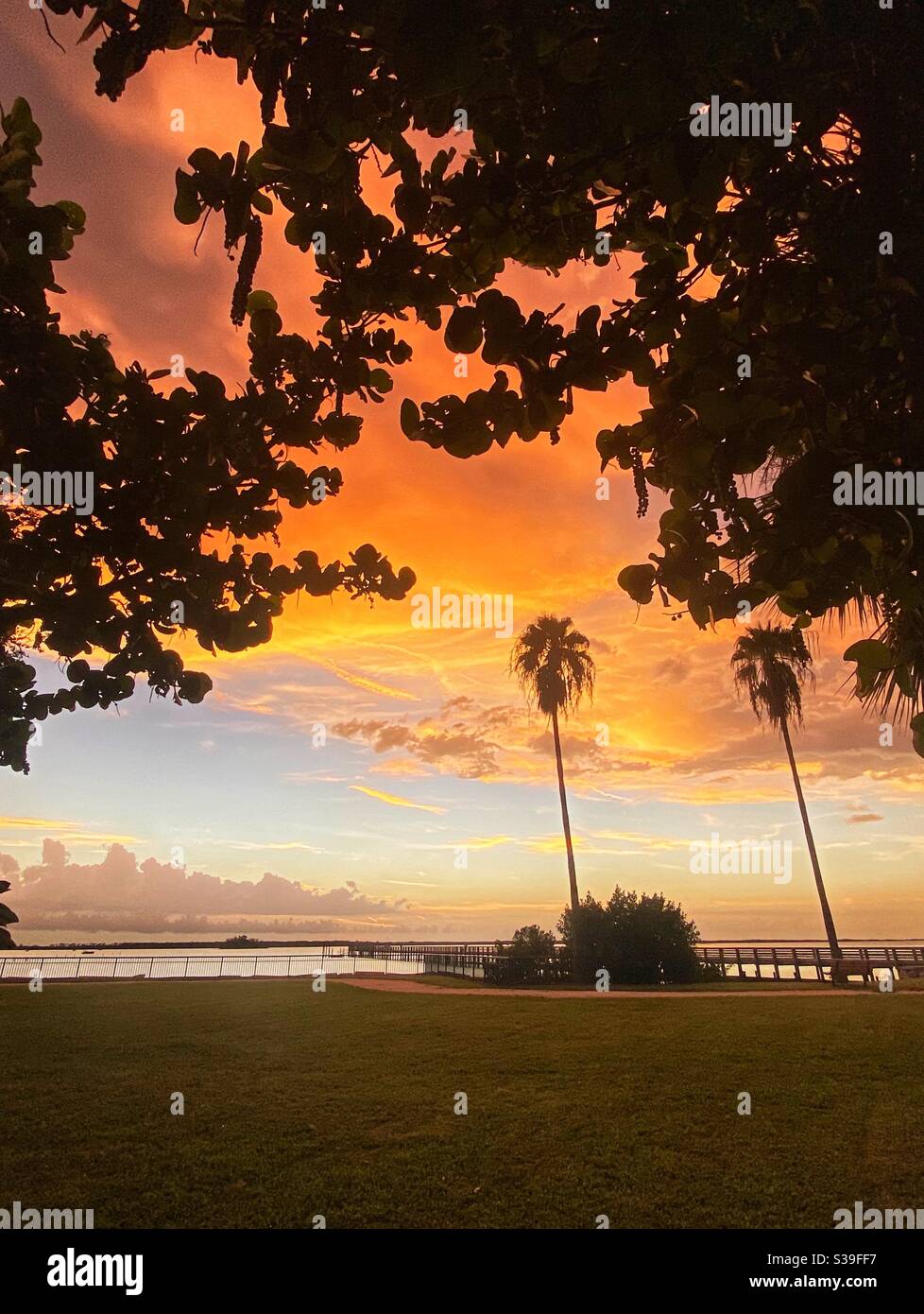 Dunedin park hi-res stock photography and images - Alamy
