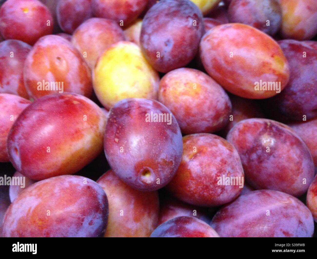 Victoria plums hi-res stock photography and images - Alamy