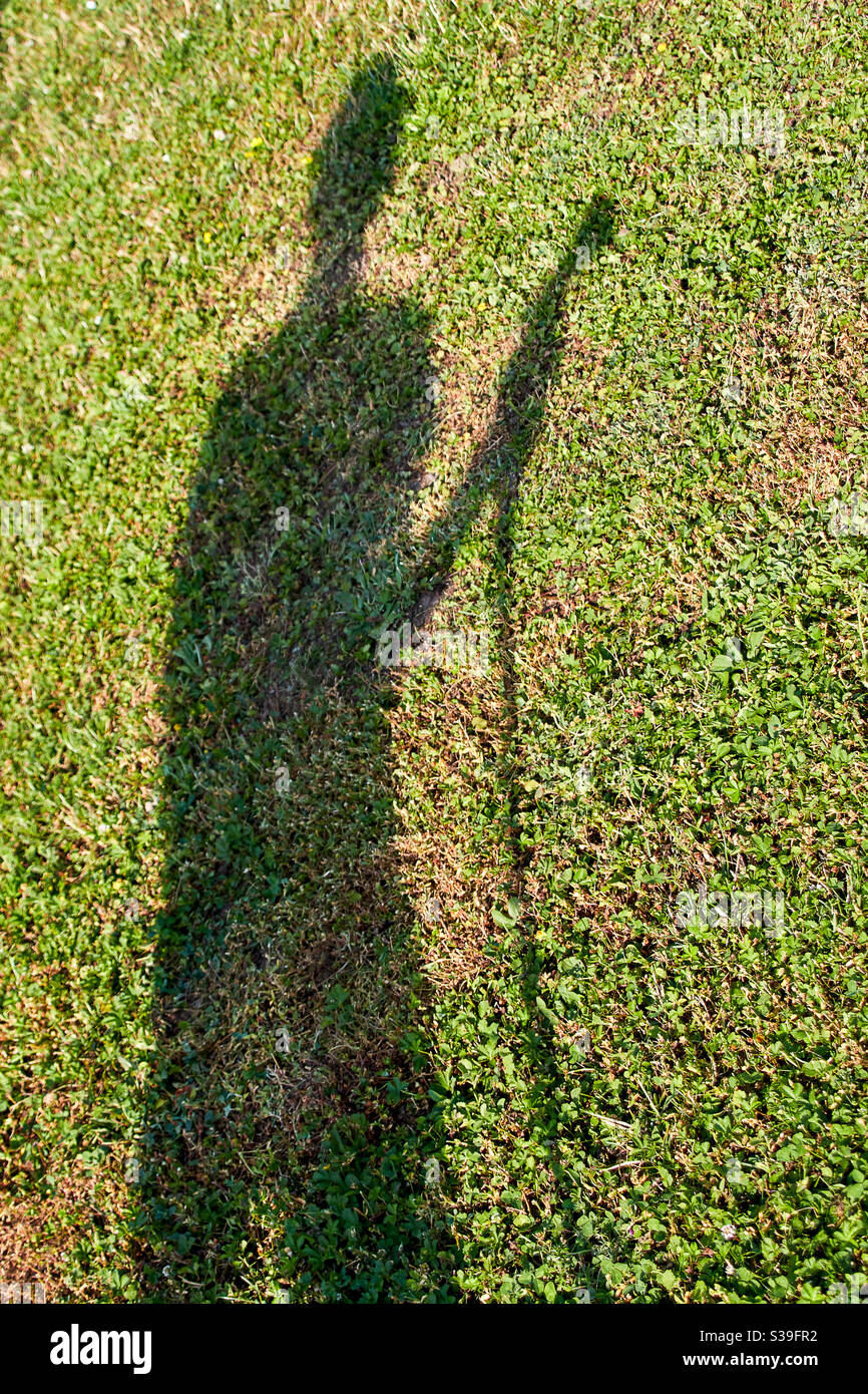 Shadow silhouette of a gardener with water hose and spray gun in the ...