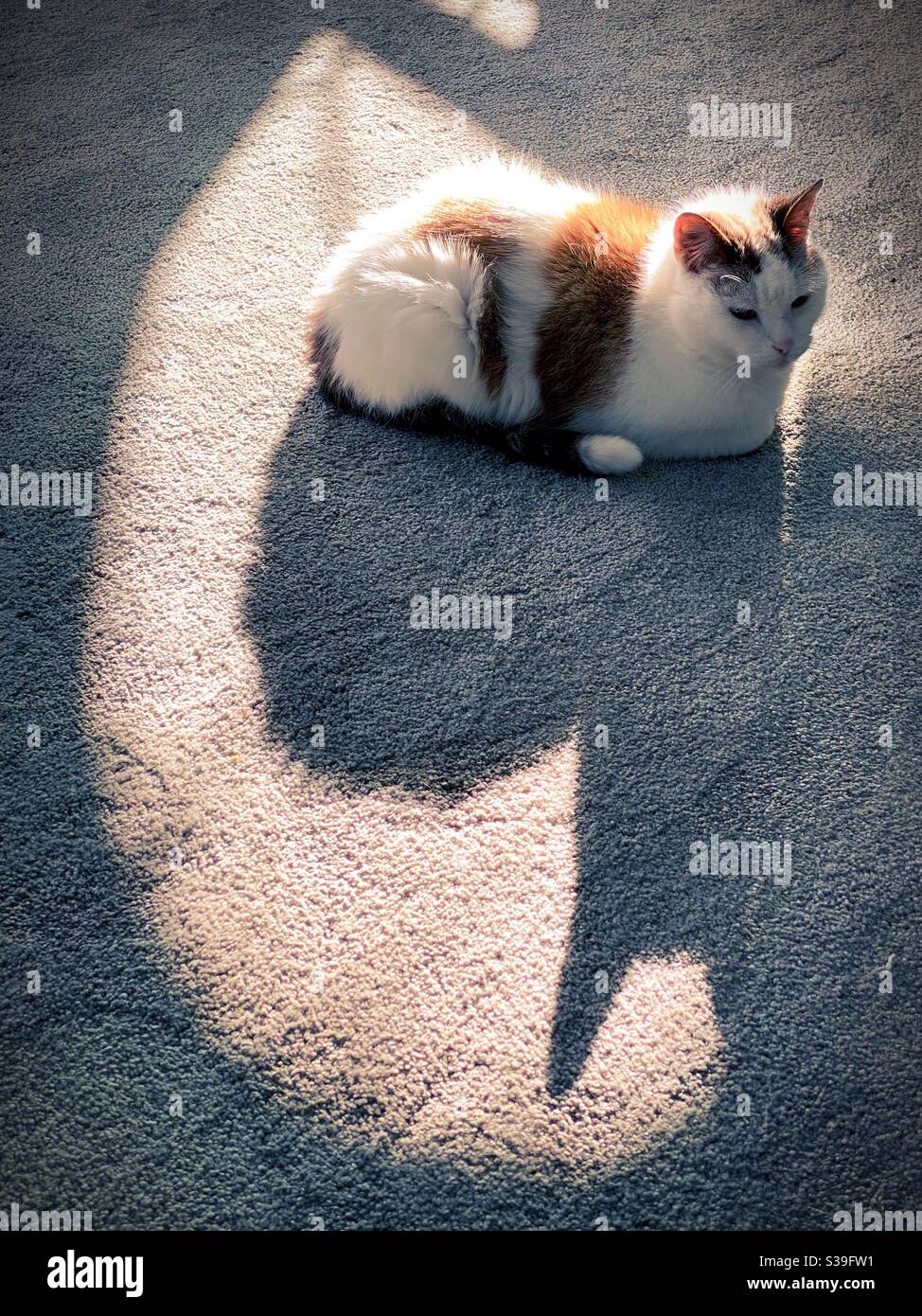 Indoor sun hi-res stock photography and images - Alamy