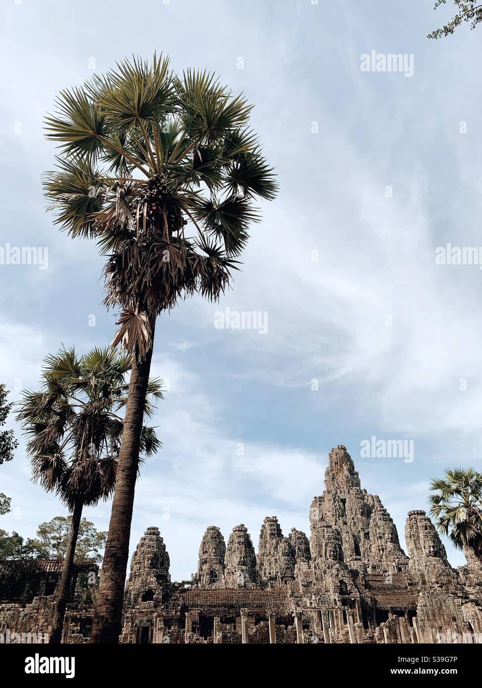 Palm trees at Bayon Temple, Cambodia Stock Photo - Alamy