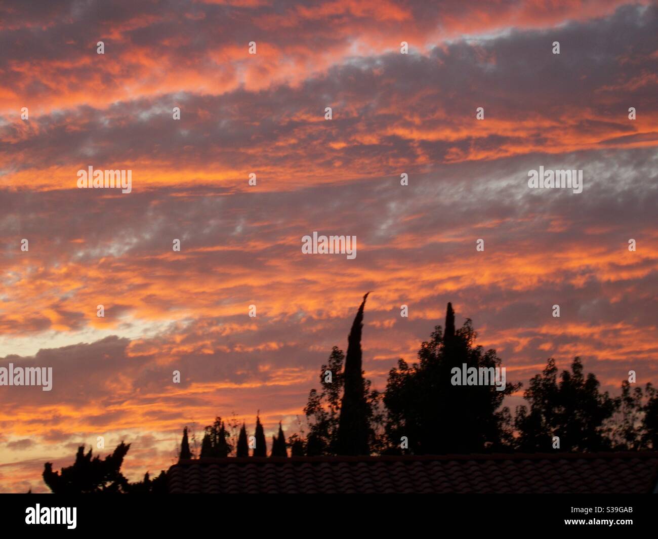 Sky trees smoke hi-res stock photography and images - Alamy