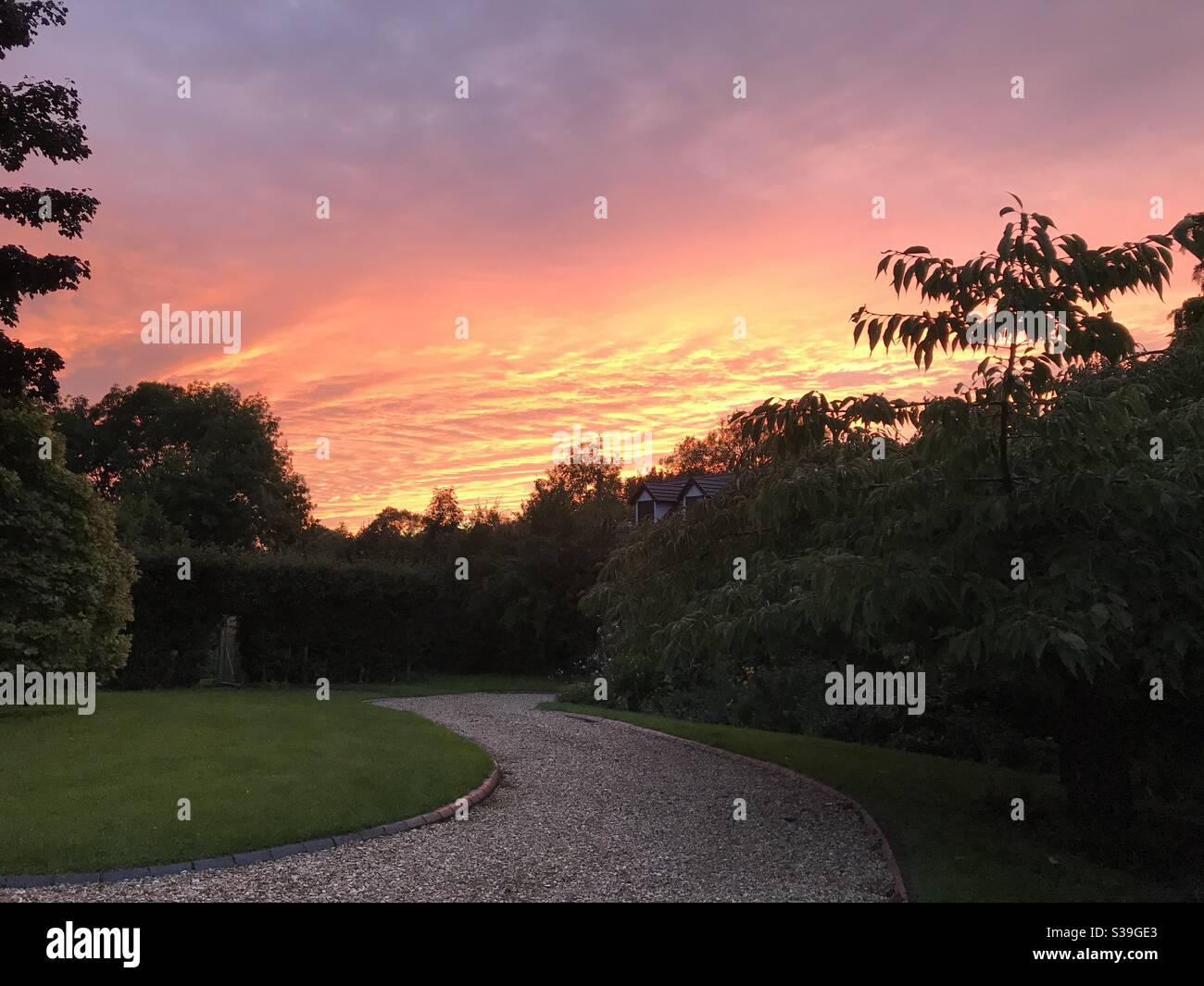 Pink sunset in England Stock Photo - Alamy