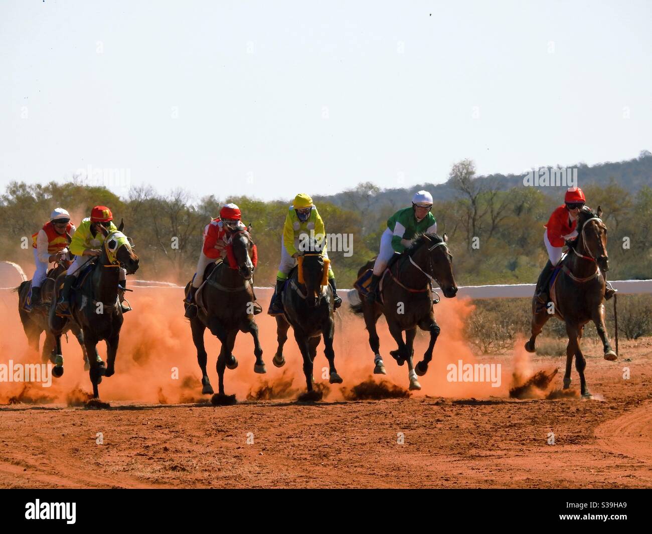 Perth horse hi-res stock photography and images - Alamy