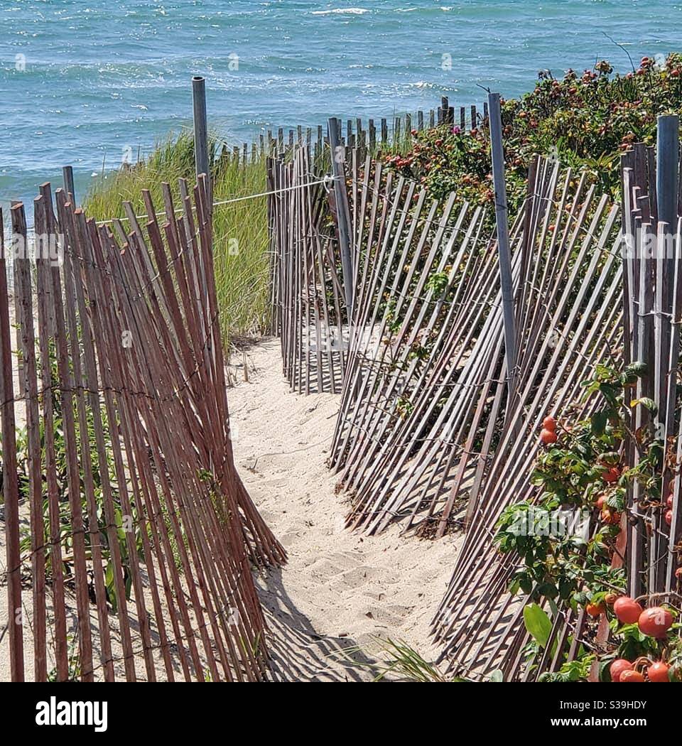 Path to the Water Stock Photo - Alamy