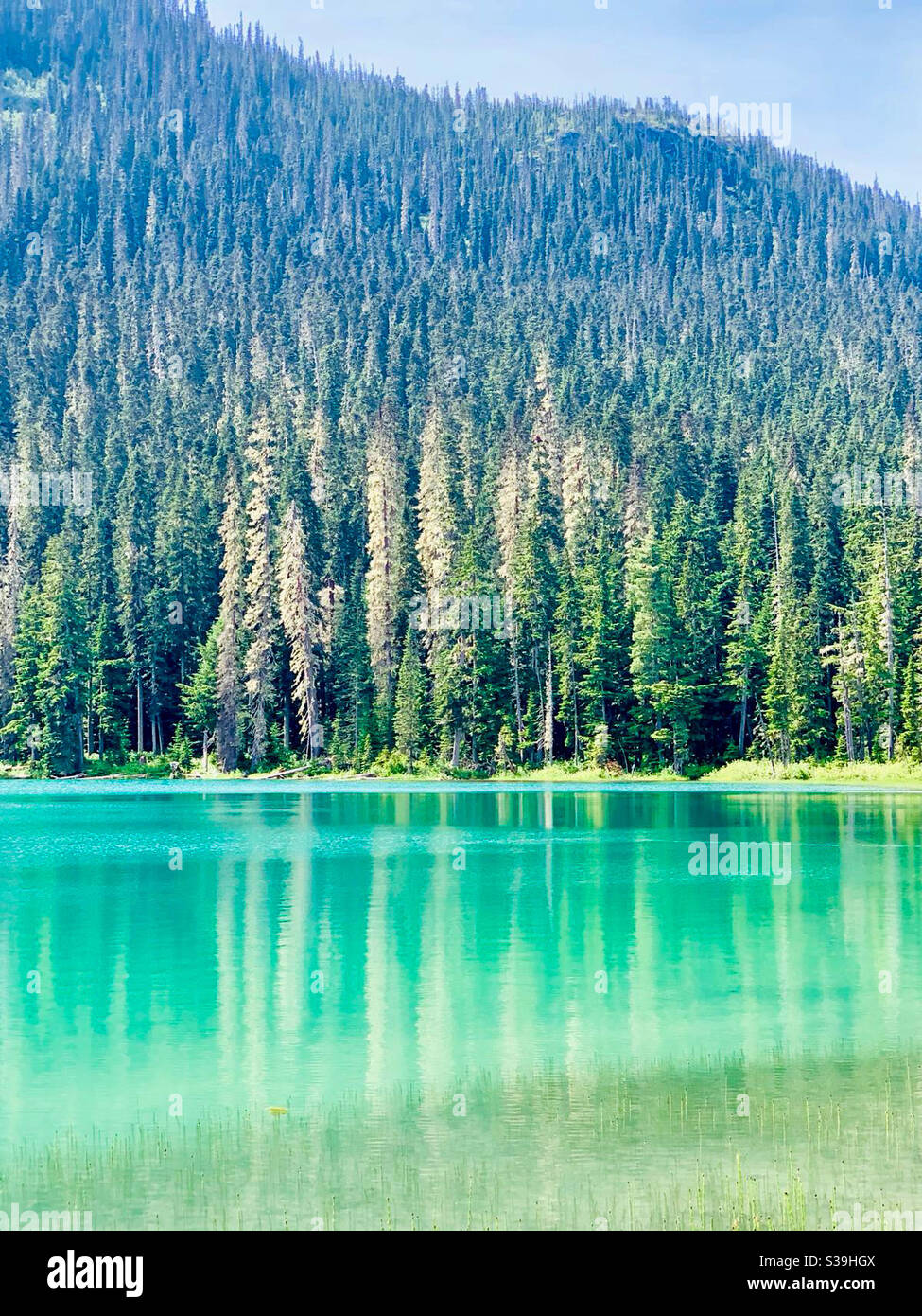 Joffre provincial park hi-res stock photography and images - Alamy