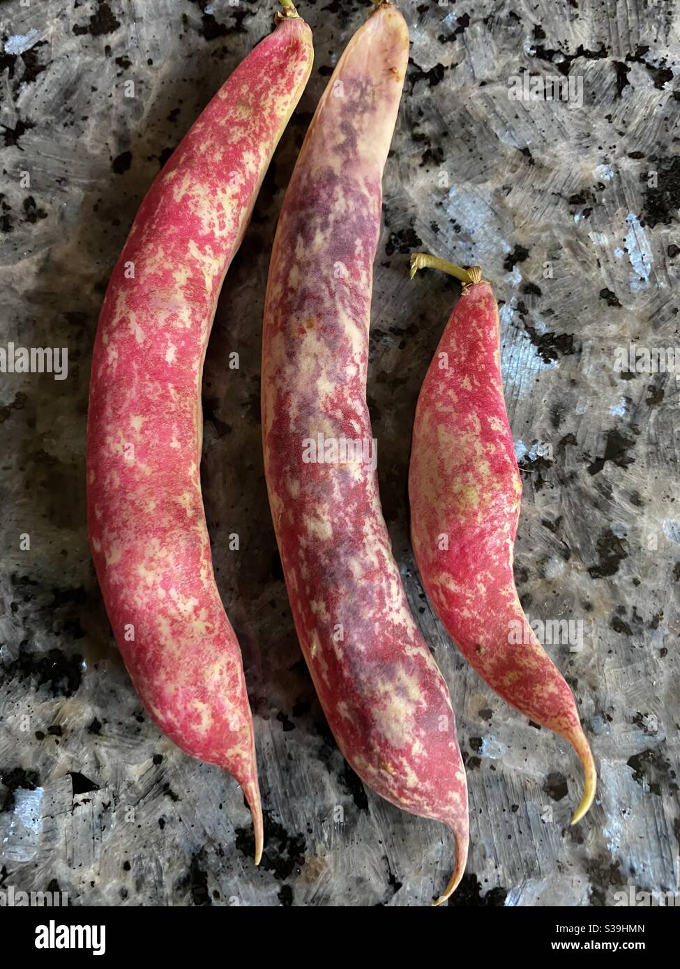 Bean variety hi-res stock photography and images - Alamy