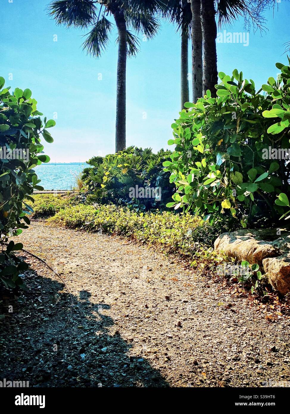 Private path leading to the waters edge. Gulf of Mexico Dunedin Florida ...