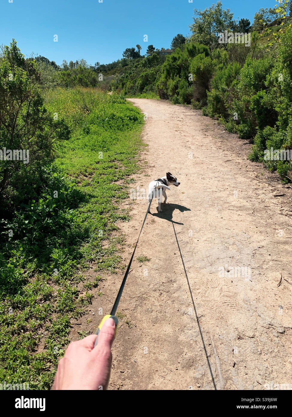 Walking pov hi-res stock photography and images - Alamy