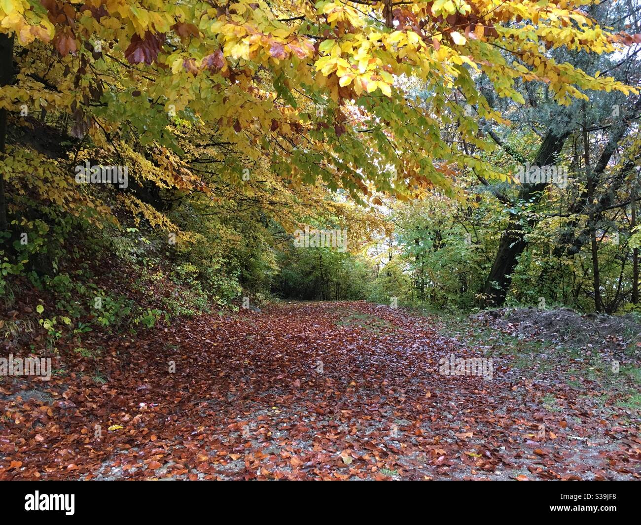 Doftana romania hi-res stock photography and images - Alamy