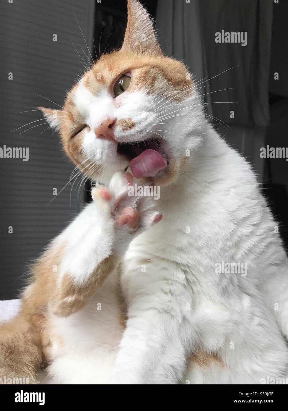 Orange toenails hi-res stock photography and images - Alamy