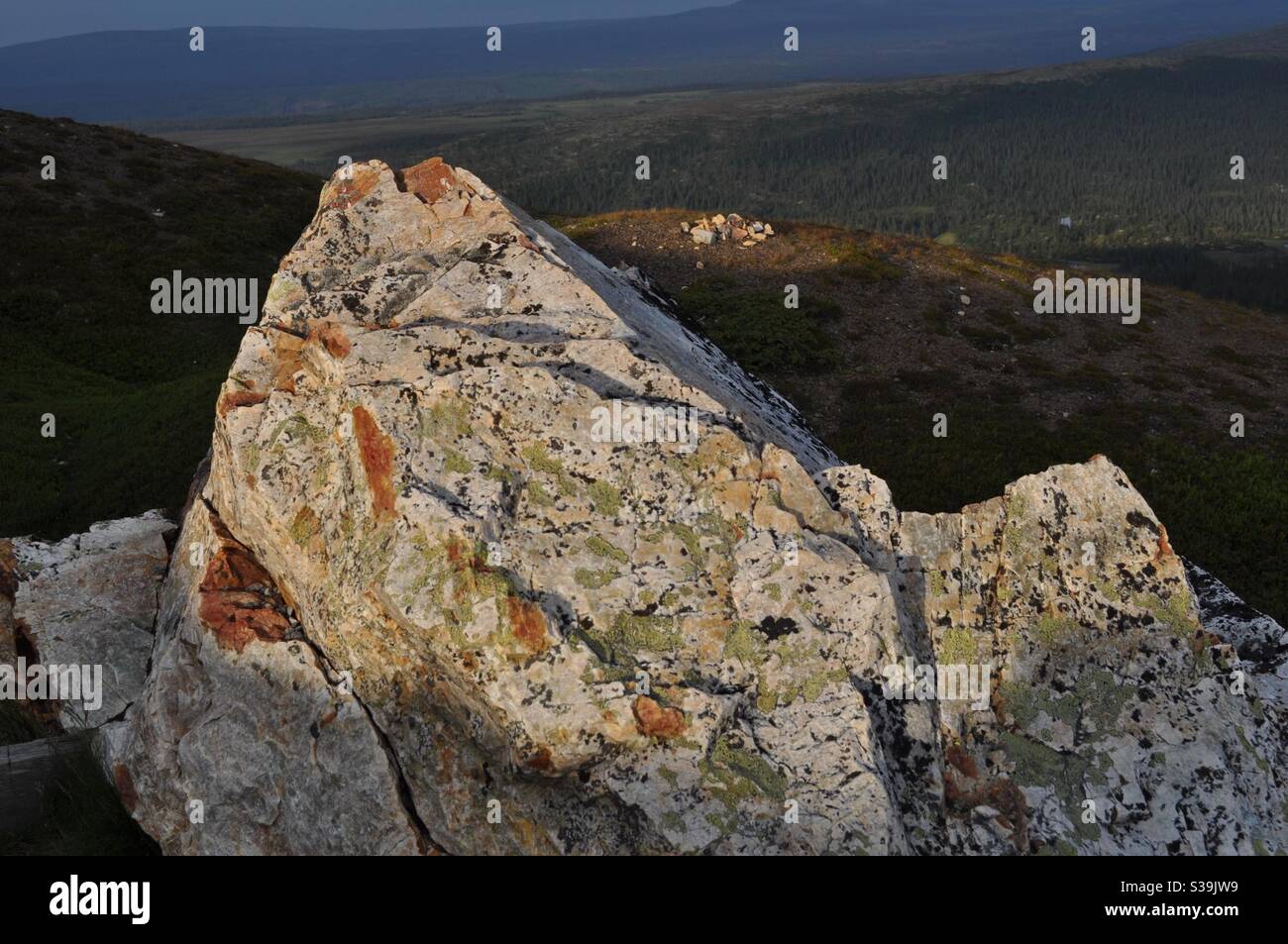 Absolutely nature hi-res stock photography and images - Alamy