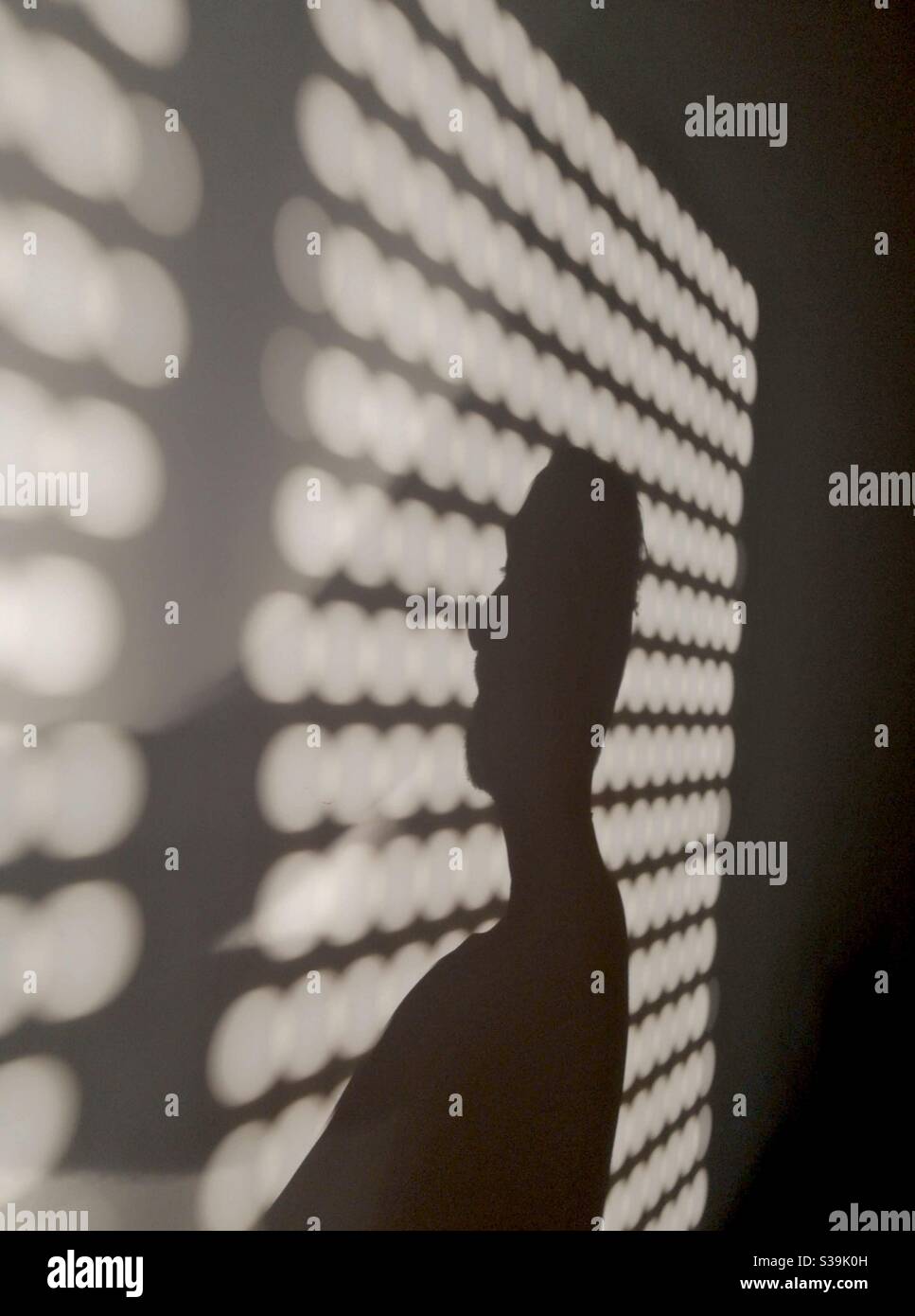 Man head in light and shade reflection on wall Stock Photo - Alamy