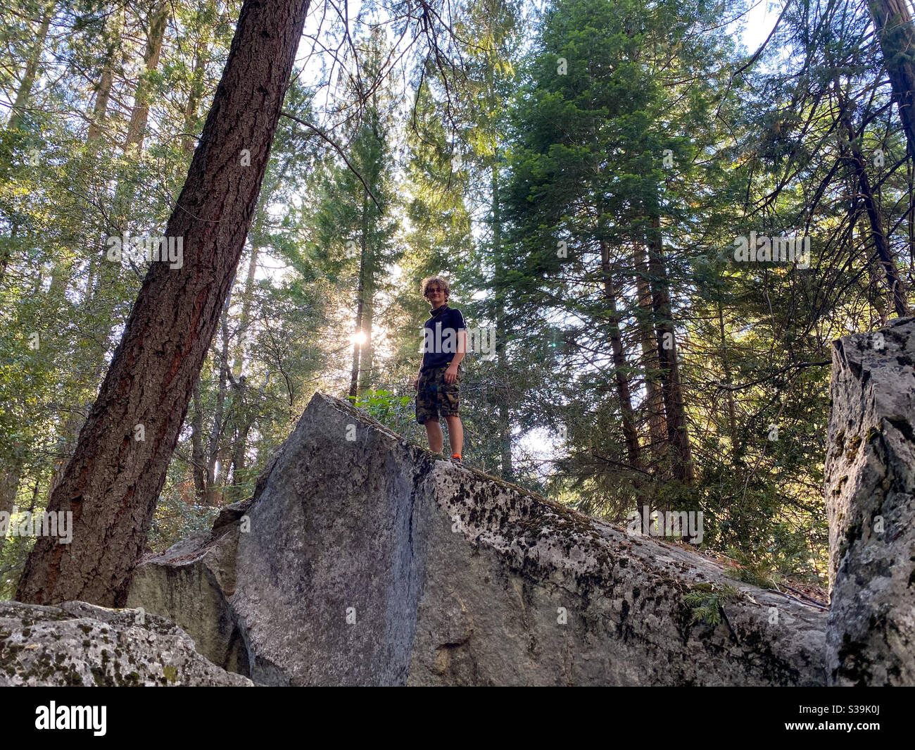 Teen in woods hi-res stock photography and images - Alamy