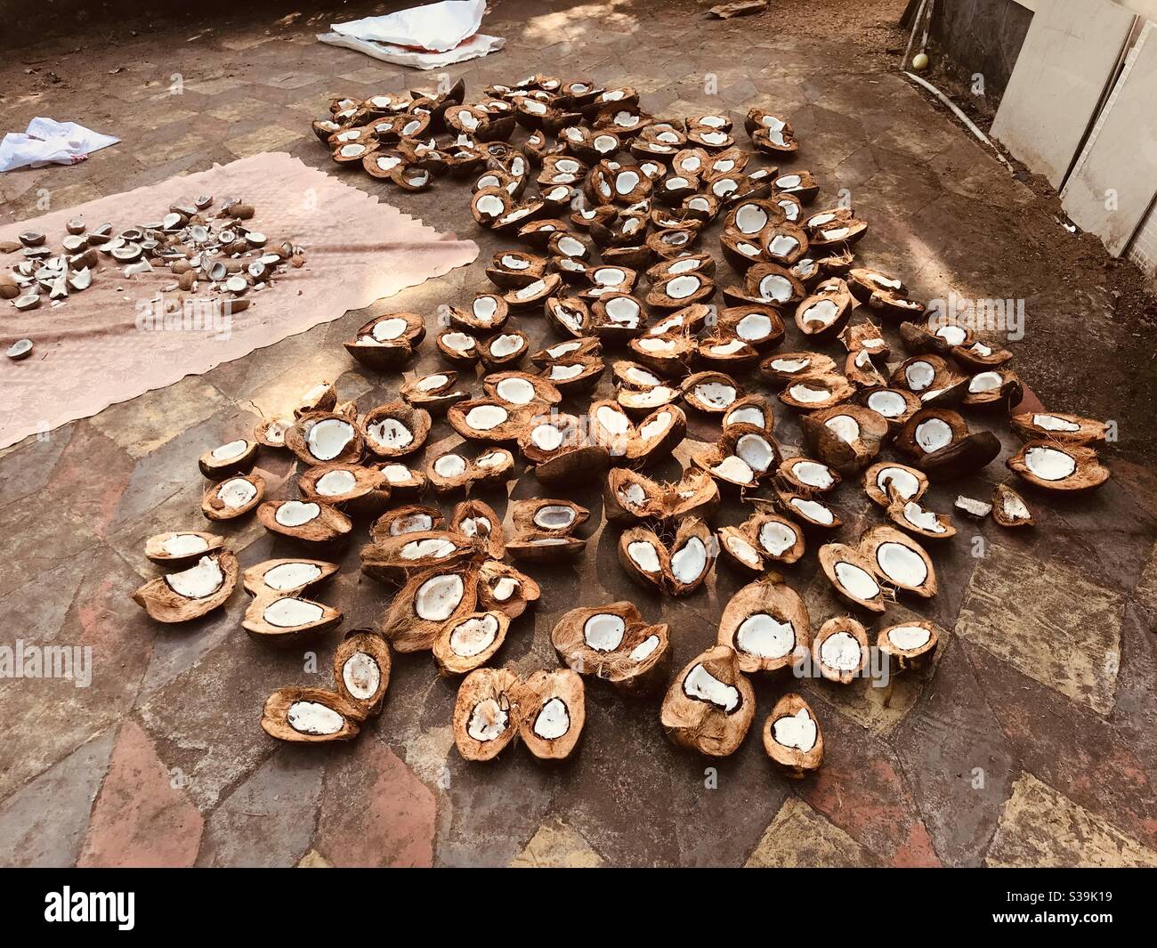 Shells In Coconut High Resolution Stock Photography and Images - Alamy