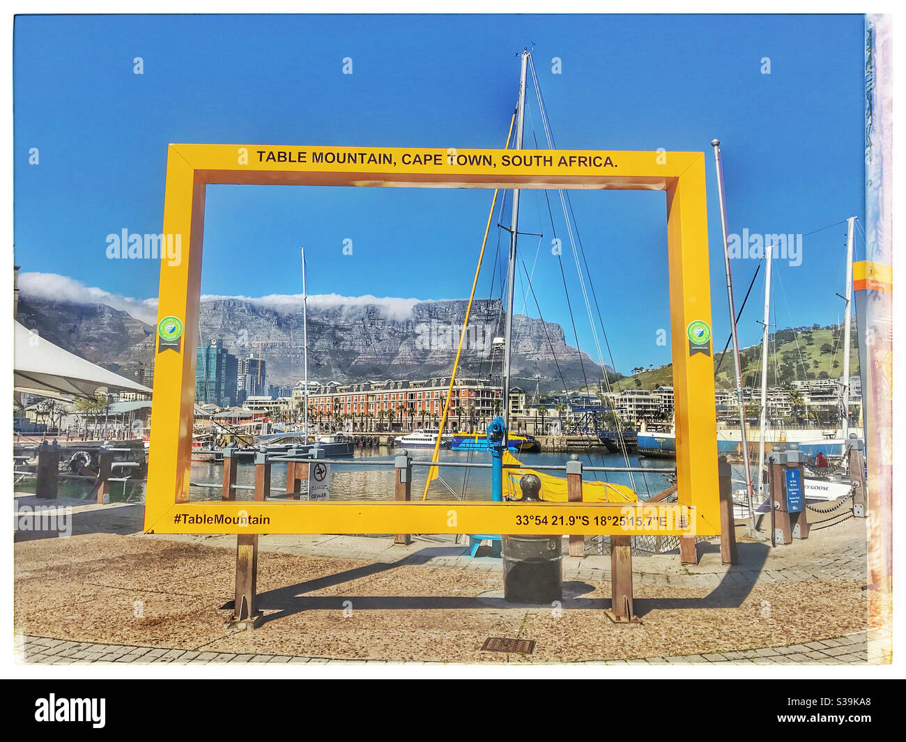 Yellow Frames Cape Town