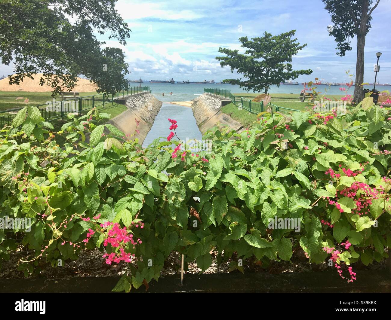 Contrast with nature hi-res stock photography and images - Alamy