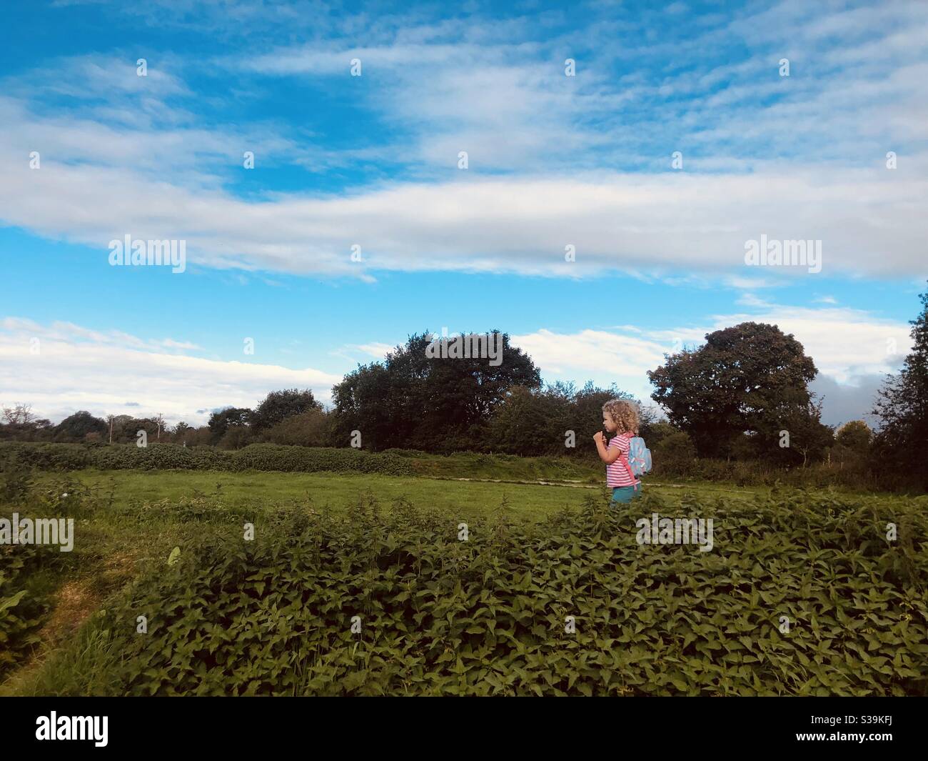 Walk in the countryside Stock Photo - Alamy