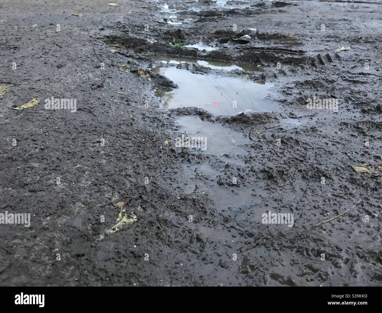 Muddy ponds hi-res stock photography and images - Alamy
