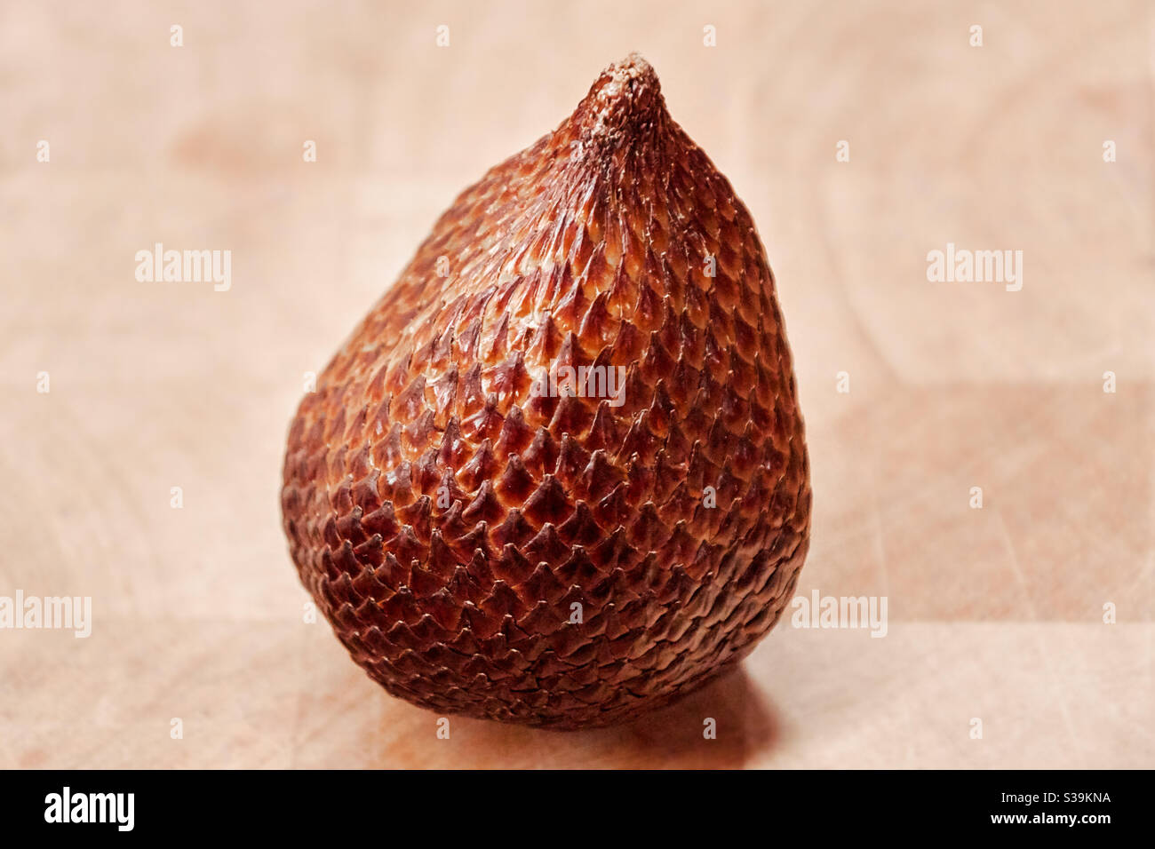 Snake vertical hi-res stock photography and images - Alamy