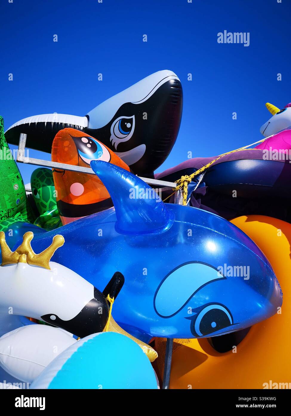 Inflatable dolphin hi-res stock photography and images - Alamy