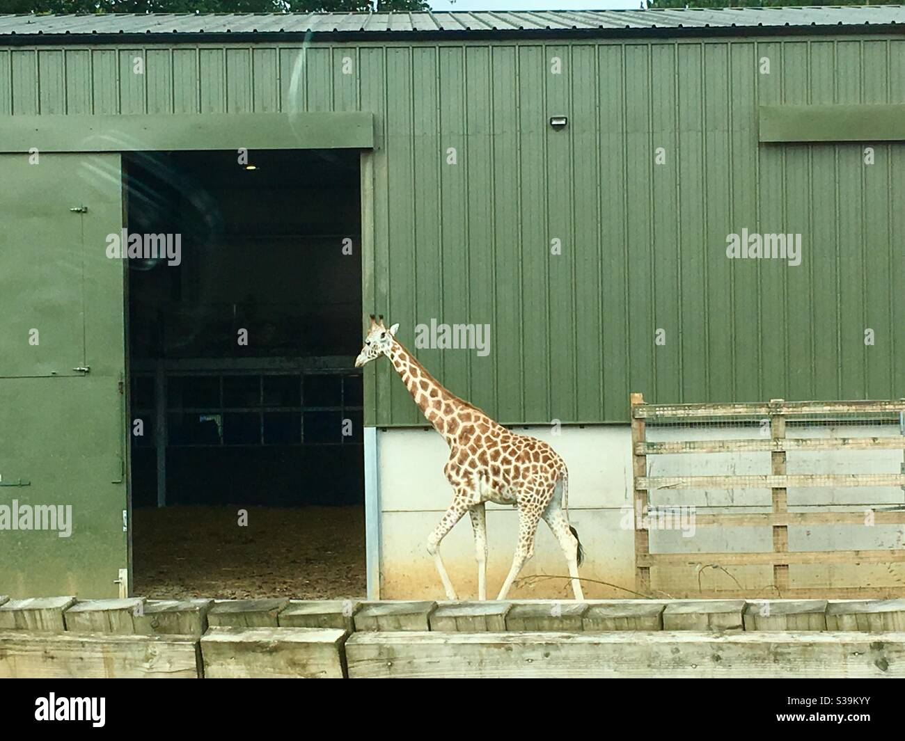 Zoo home hi-res stock photography and images - Alamy