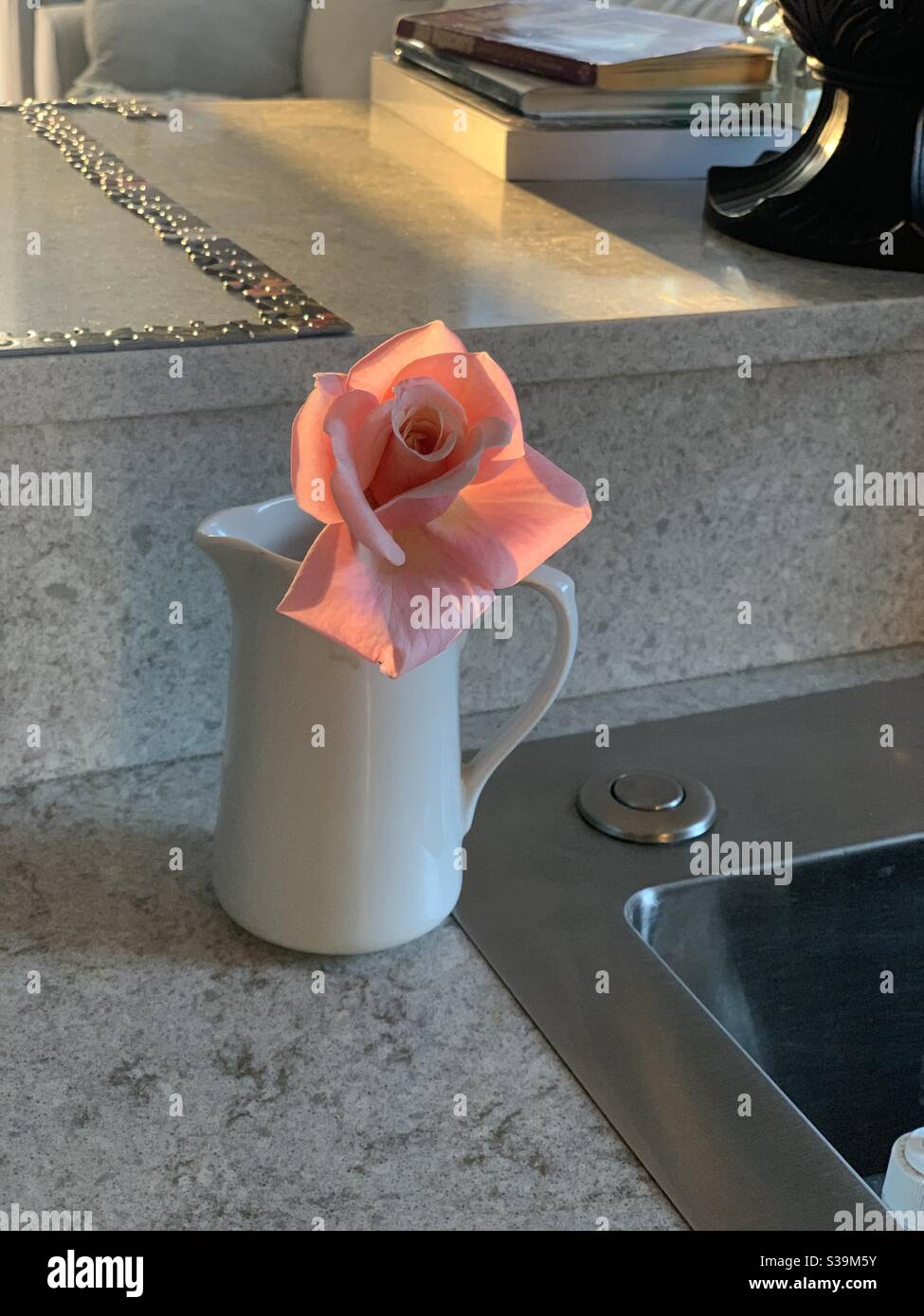 Golden hour rose High Resolution Stock Photography and Images - Alamy