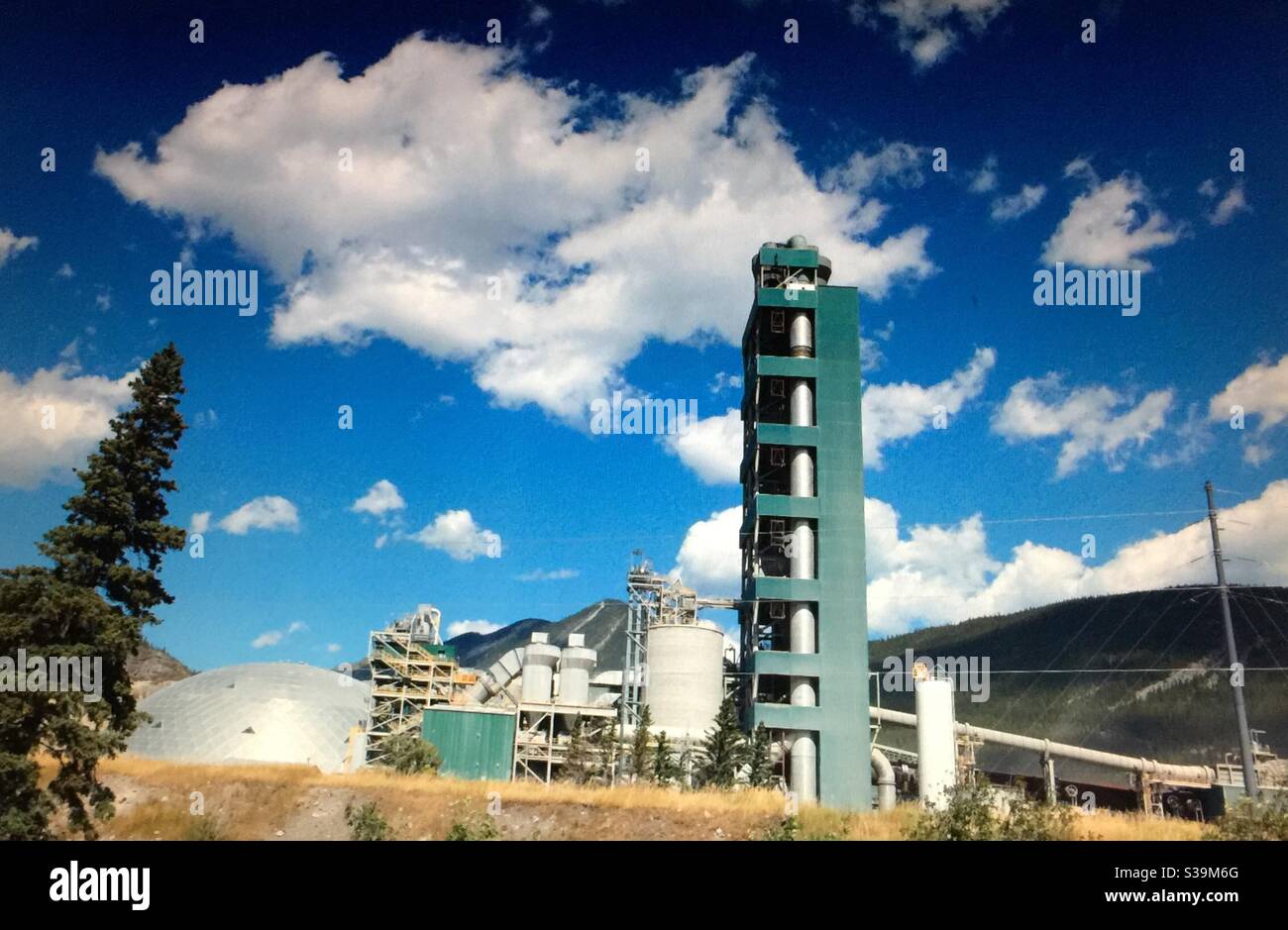 Plant exshaw hi-res stock photography and images - Alamy