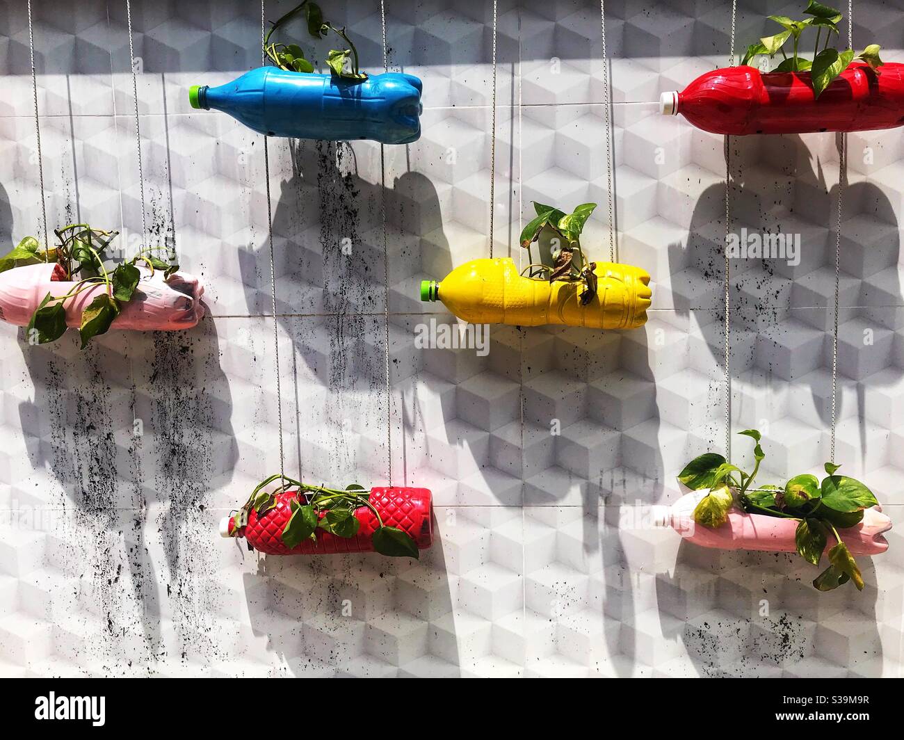 Reduce plastic waste hi-res stock photography and images - Alamy