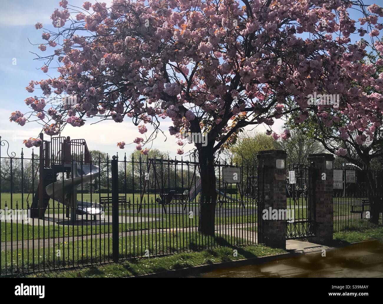 Park playground trees hi-res stock photography and images - Alamy